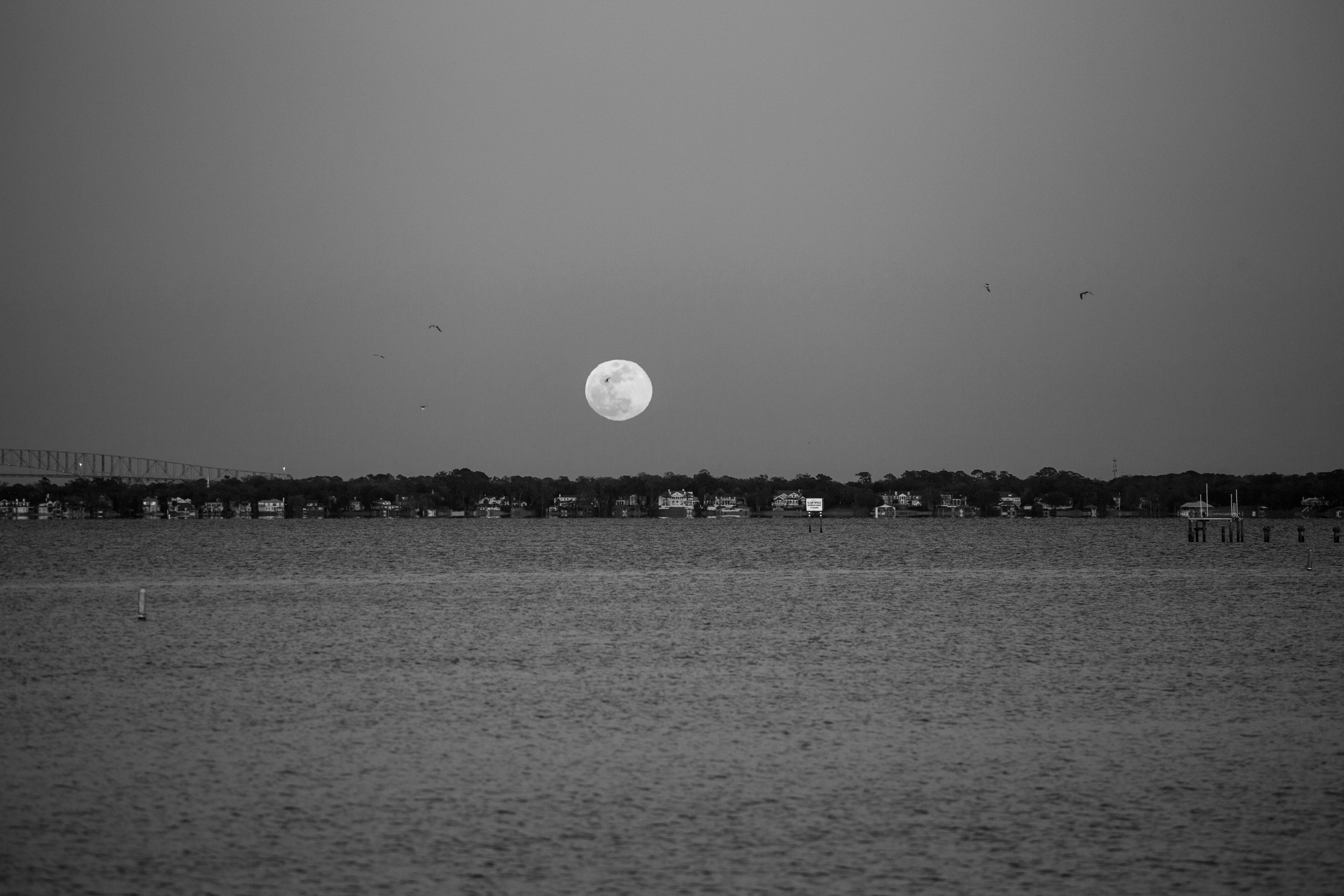 Moonrise over a Seaside Town