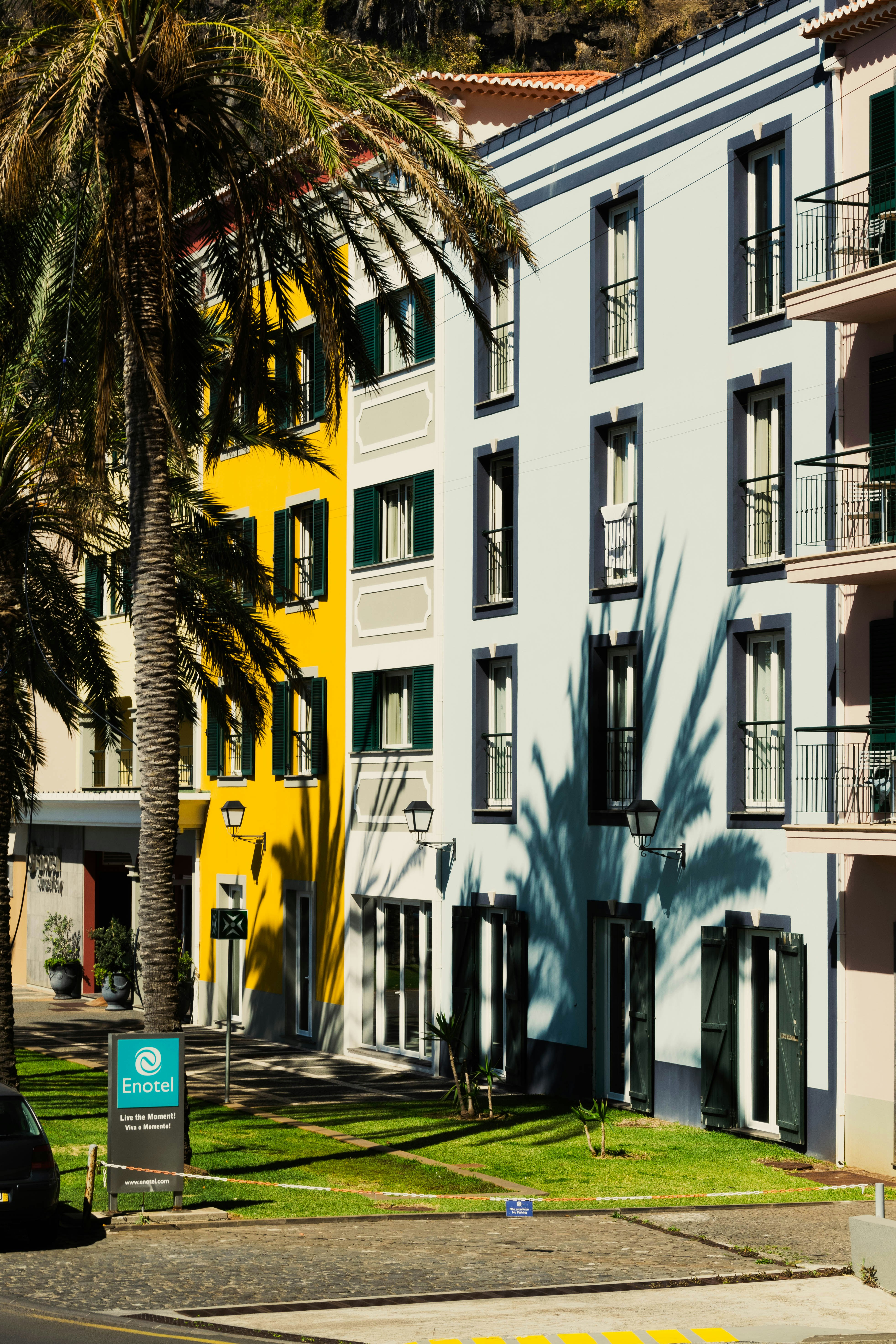 Palm-shadowed Facades: Colorful Building Line by the Street