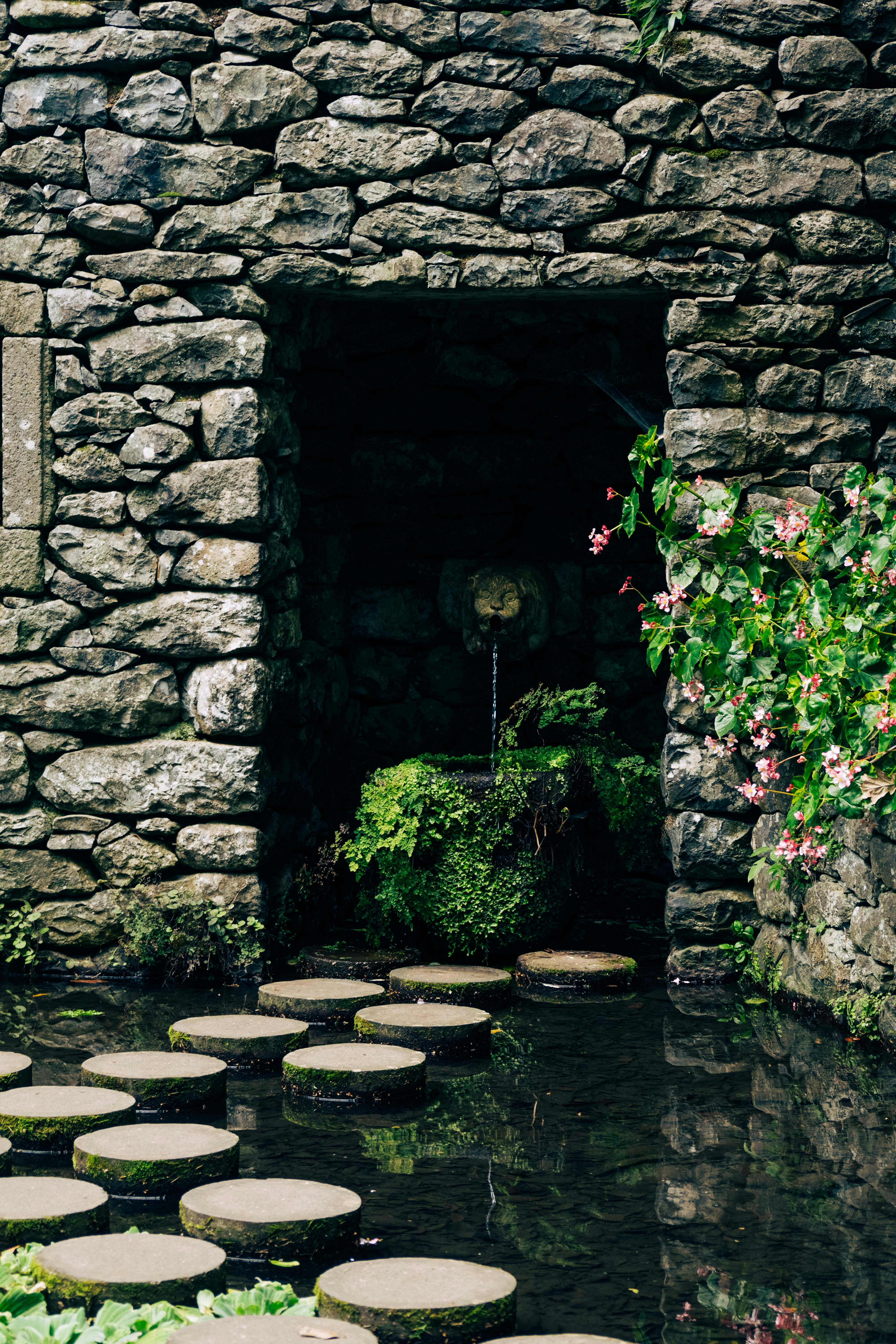 Stone Fountain Gateway: Mossy Steps and Blooming Vines