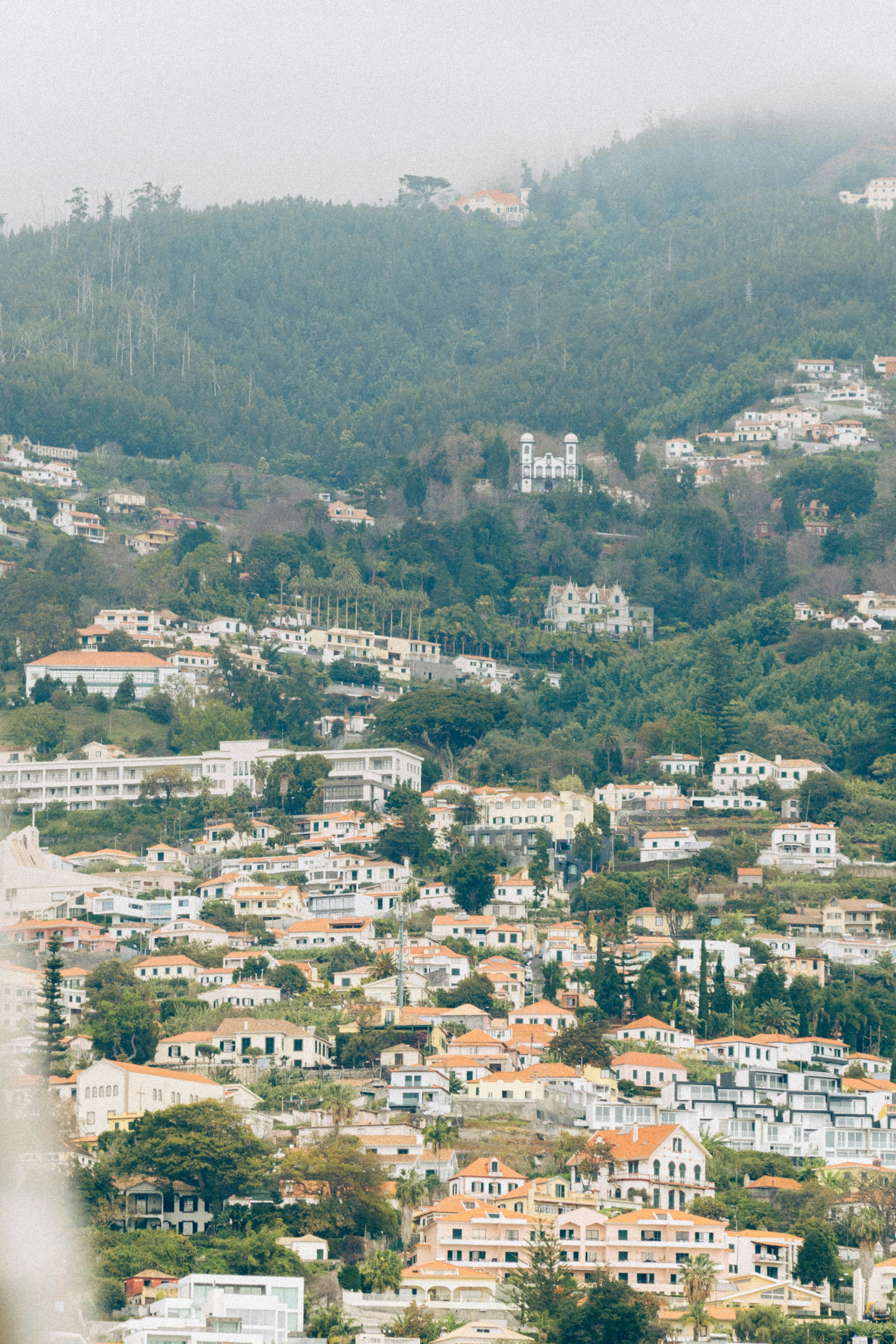 Terraced hillside village tucked among green folds