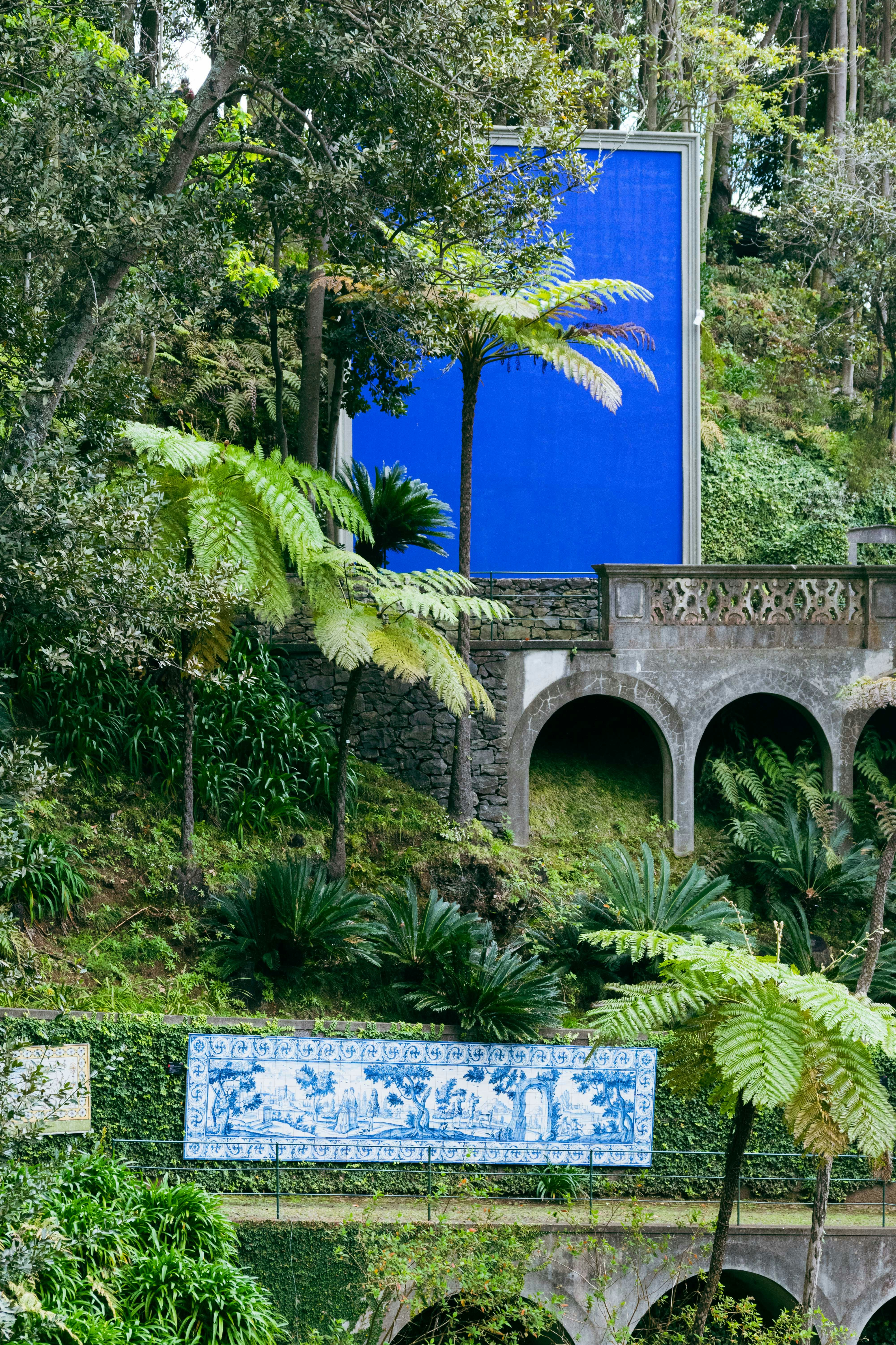 Blue Portal in the Garden: A Quiet Terrace Framed by Ferns