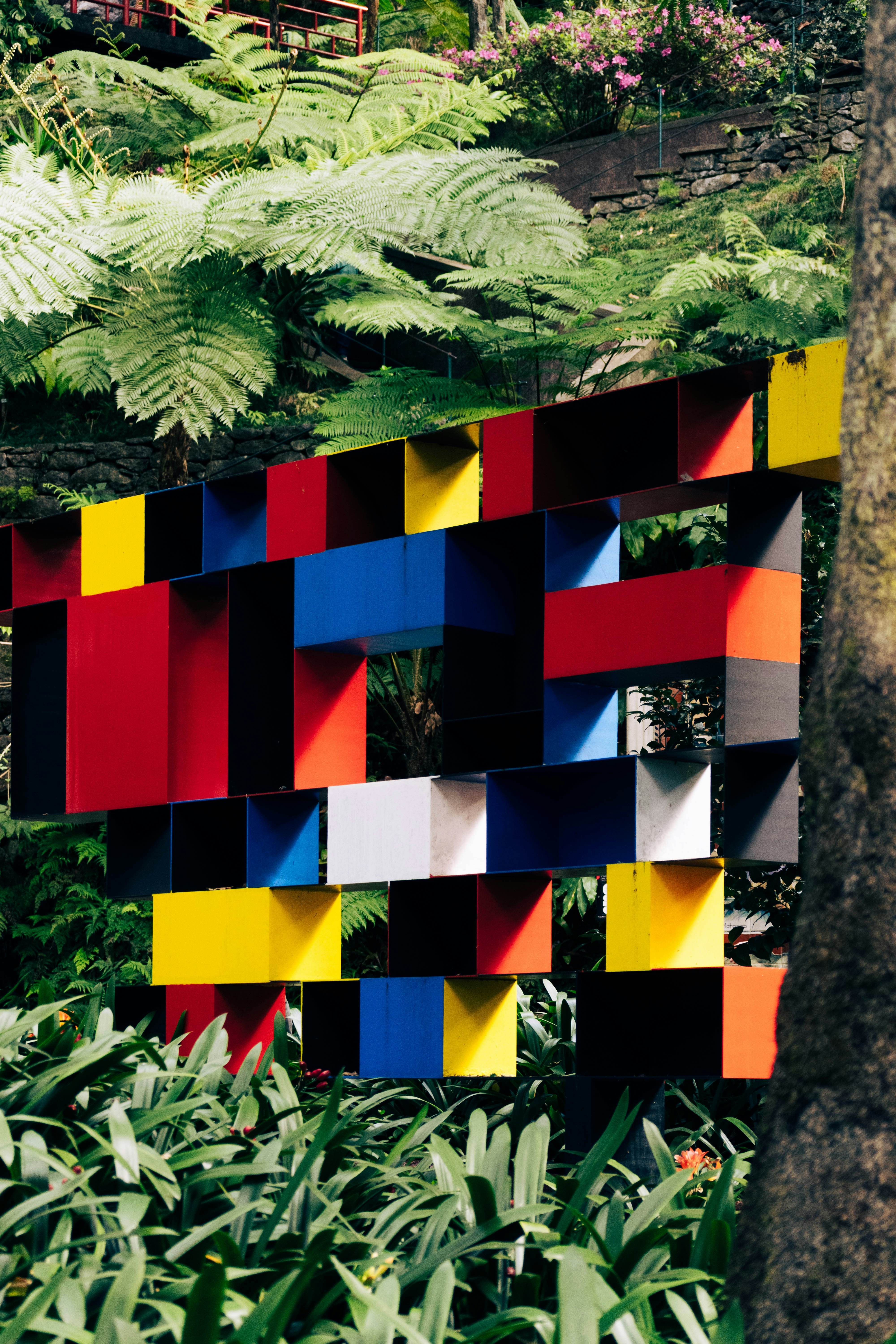 Colored Cubes Framing the Ferns: A Flutter of Towers in the Garden