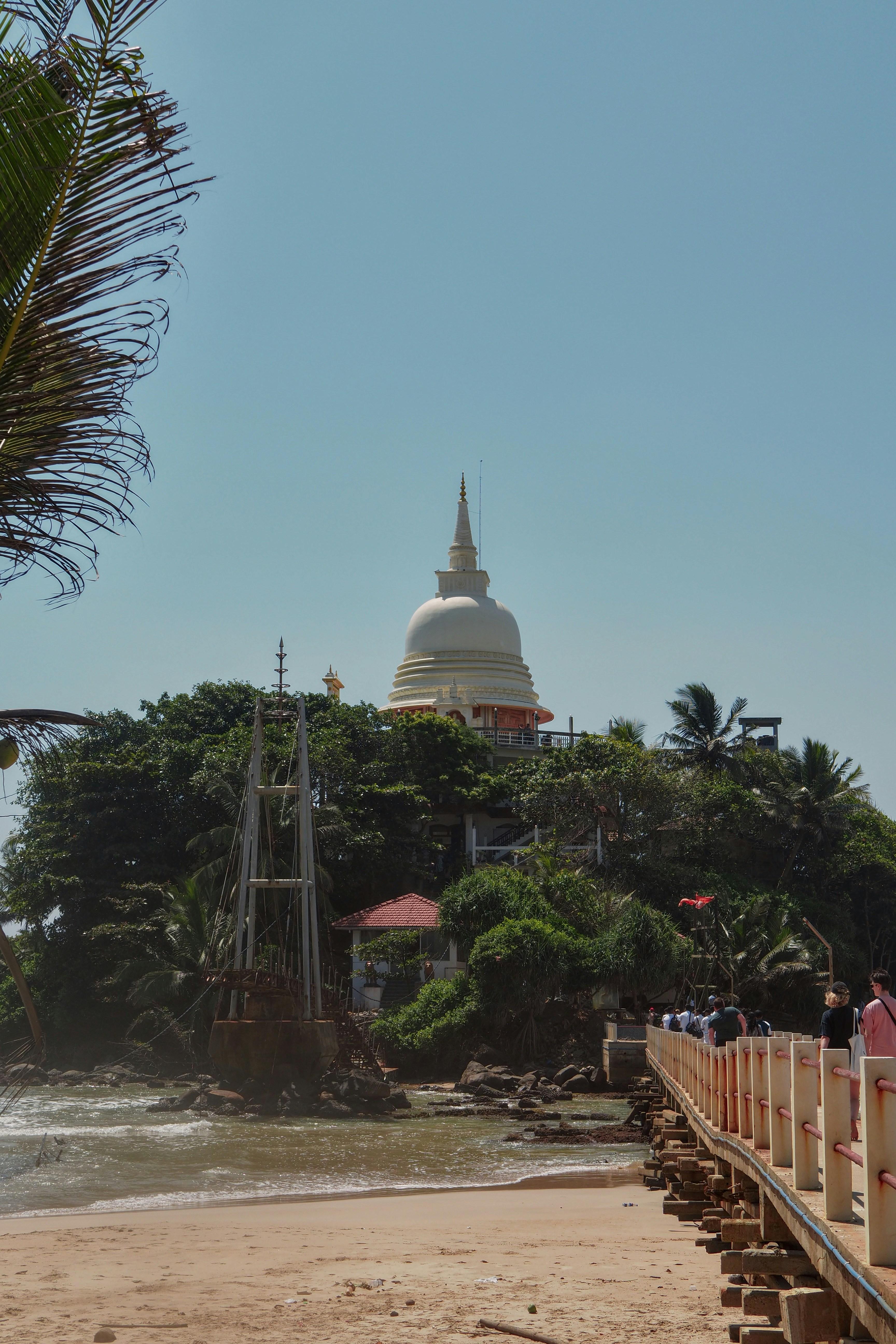 Temple on the Tide: A Coastal Shrine with a Palm-Framed View