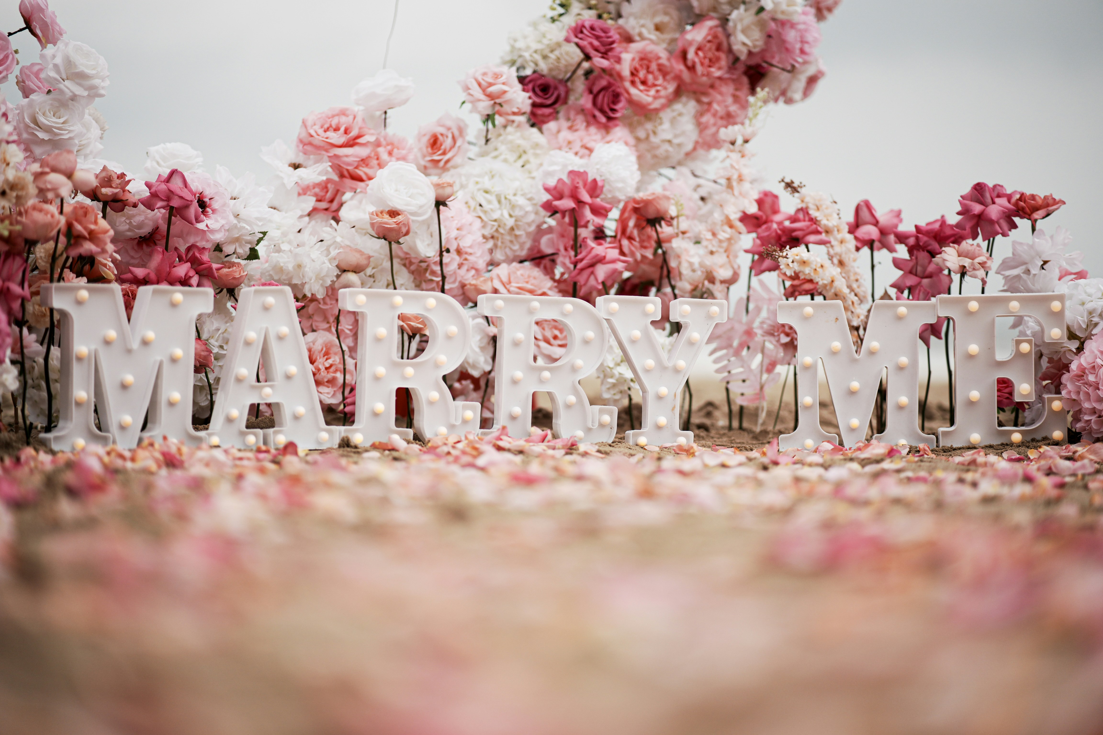 Love in Light: Marry Me Sign Amid Petals and Florals