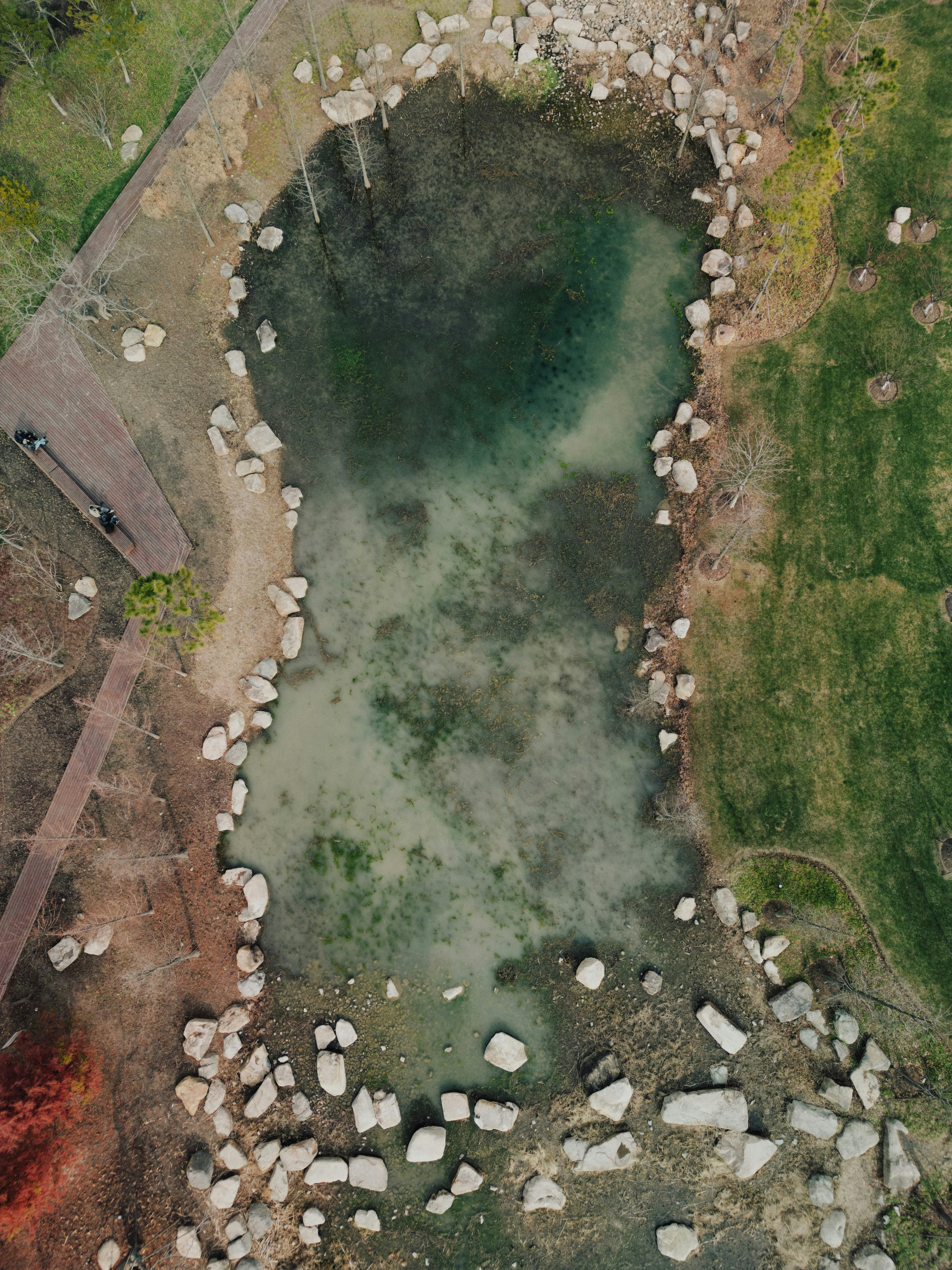 Overgrown Pond Surrounded by Rocks and Pathways