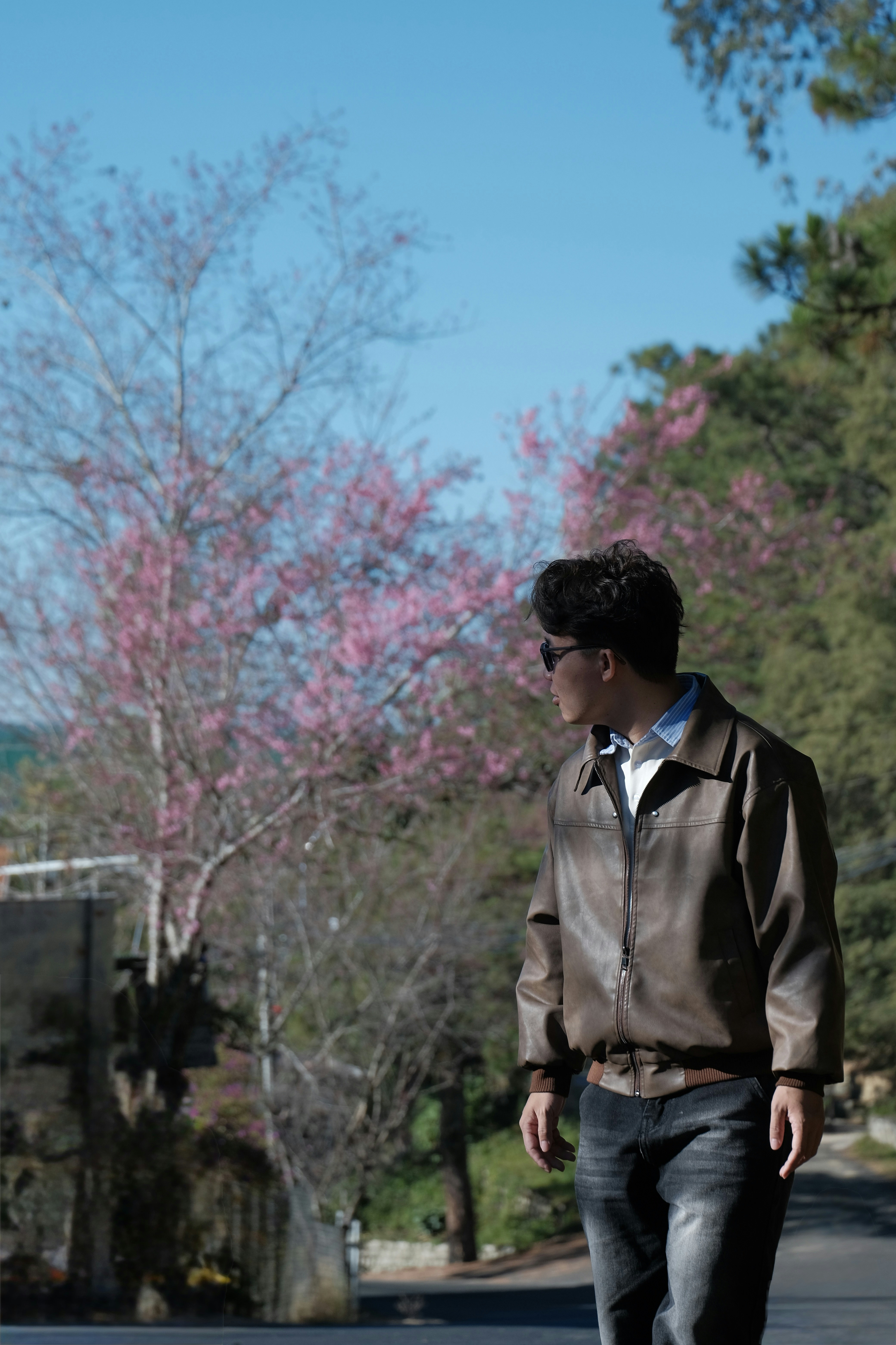 Urban Wanderer Under Cherry Blossom Skies