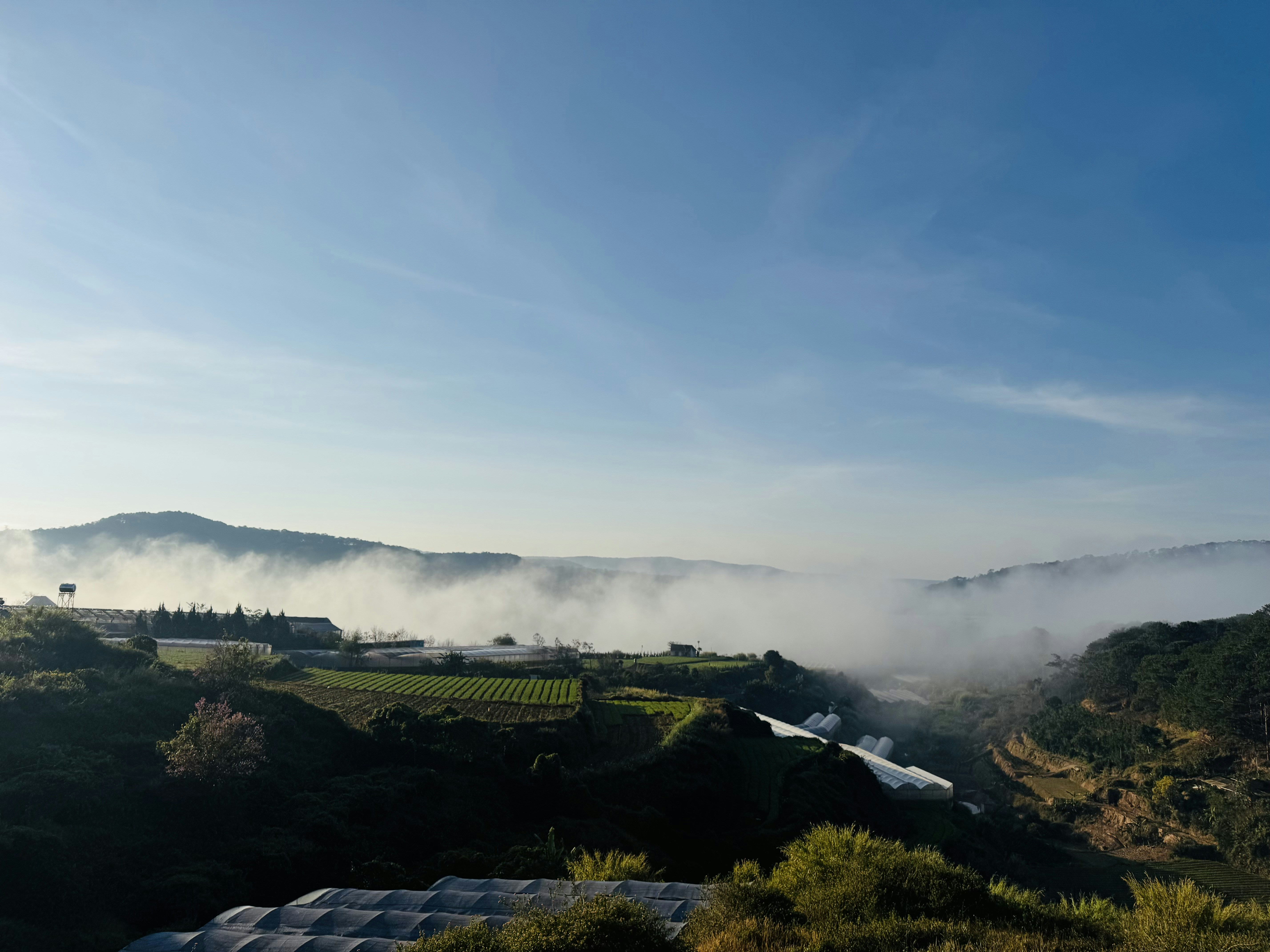 Foothills Mist: Morning Valley With Timeless Fields