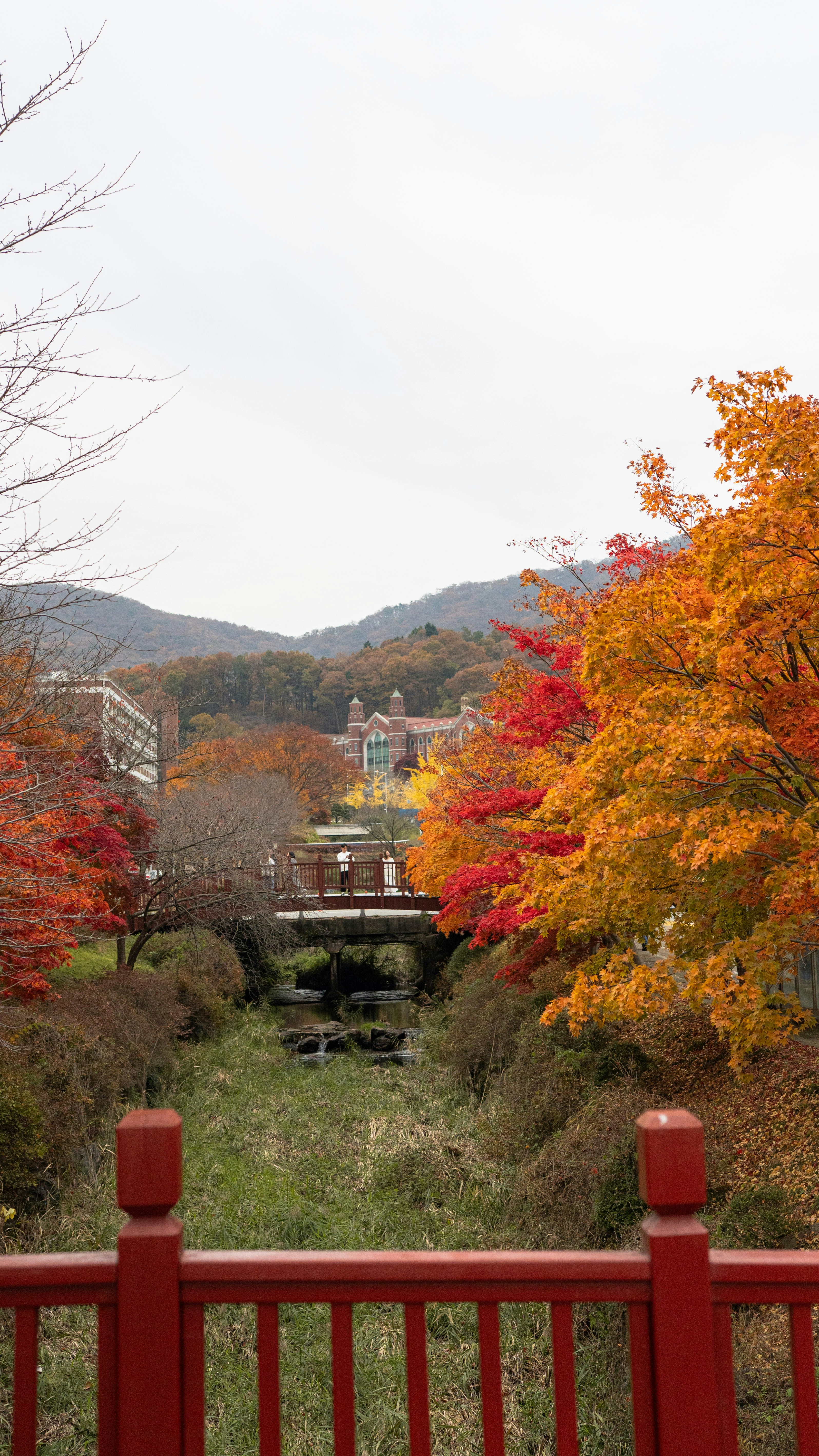 Autumn River Valley Through a Red Balcony