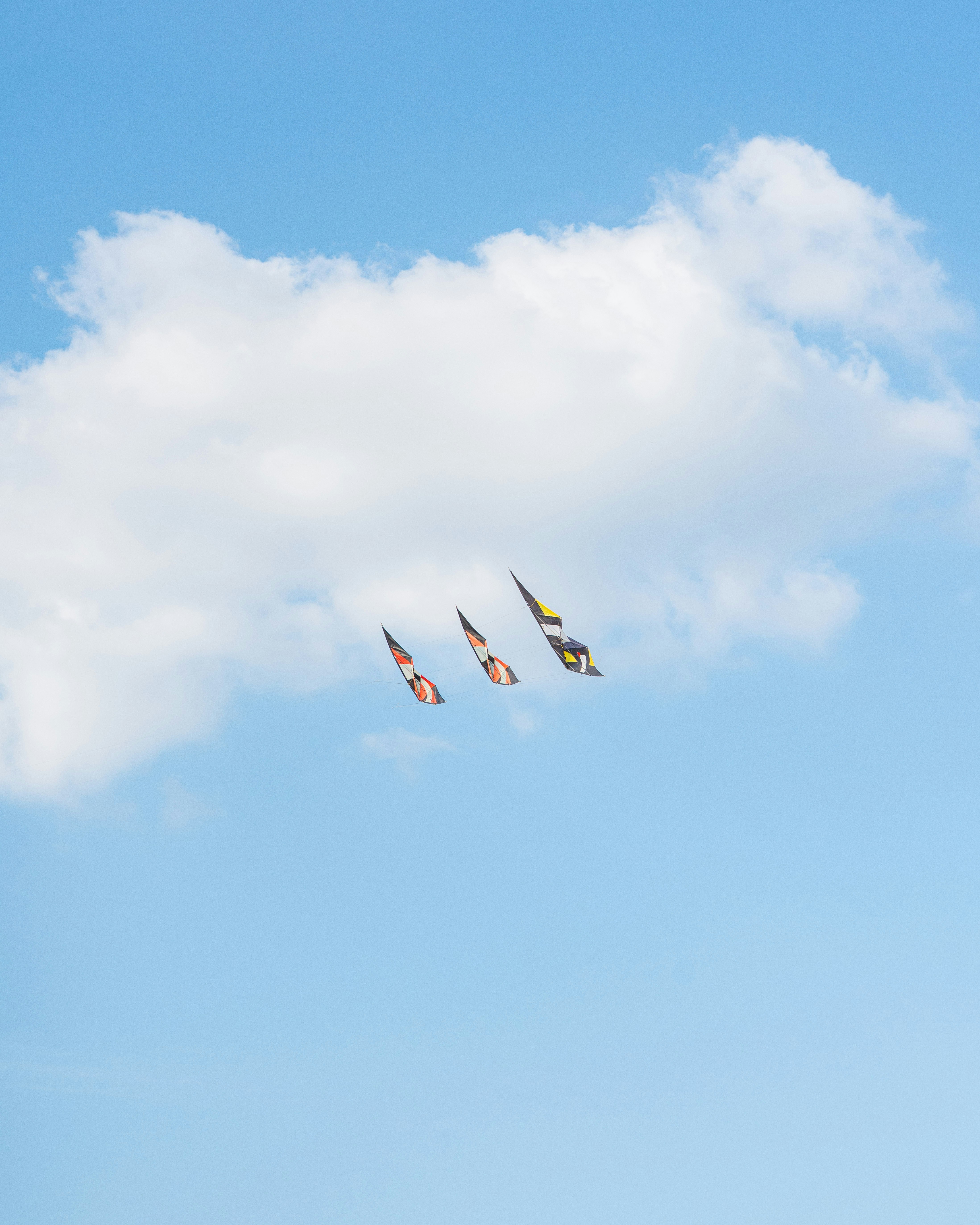 Three Kites Carve the Blue: A Brief Ballet in the Sky