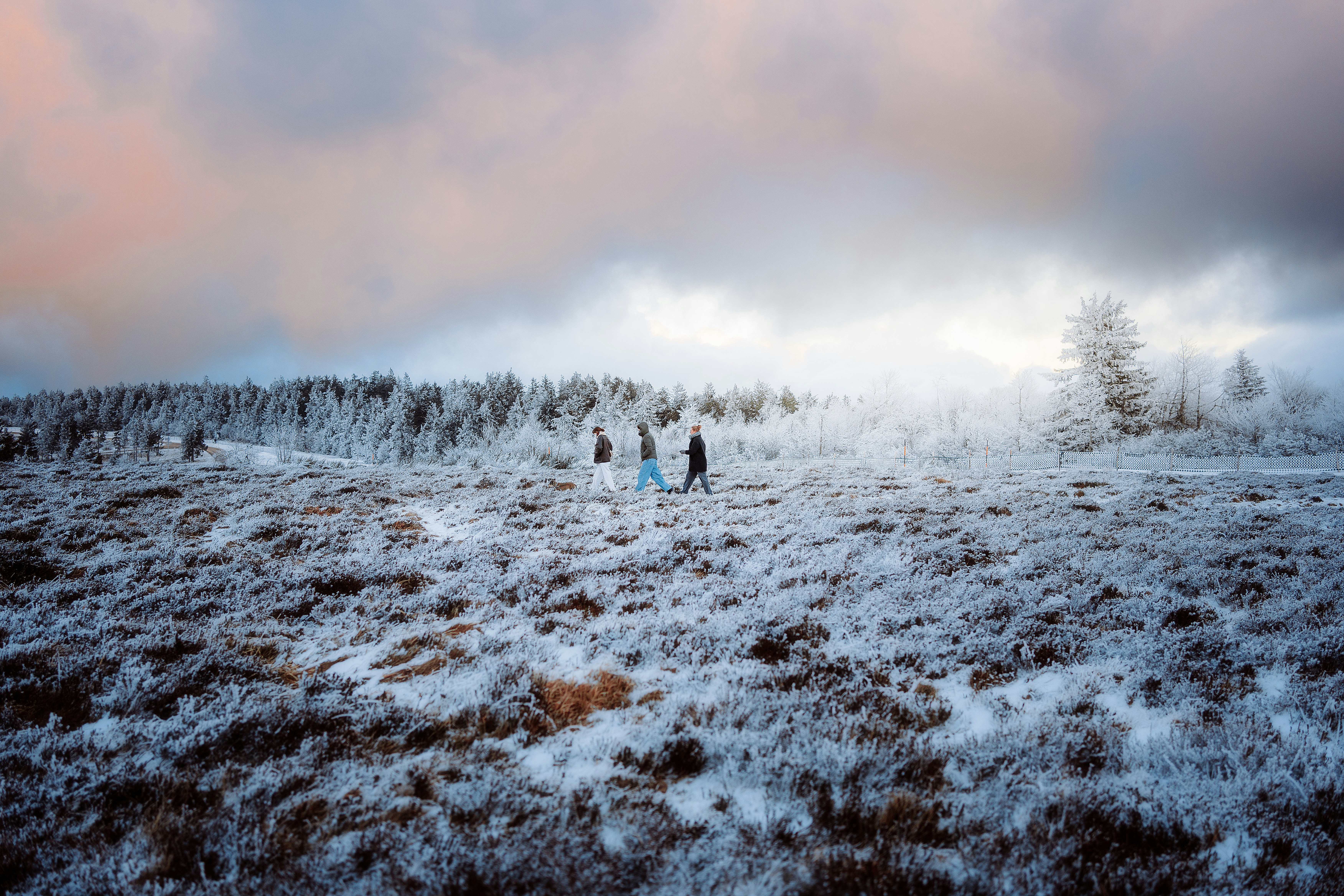 Winter Horizon: Figures Trek Across Snow-Dusted Moor