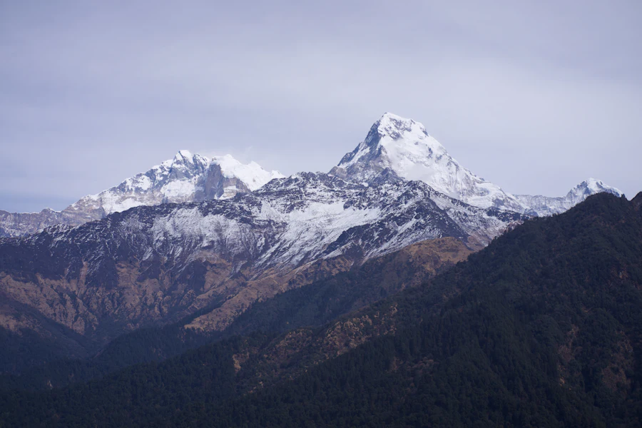 Sharp mountain summit rising over dark forested slopes with snow dusting the jagged rocks; a high-contrast landscape emphasizing depth and texture.