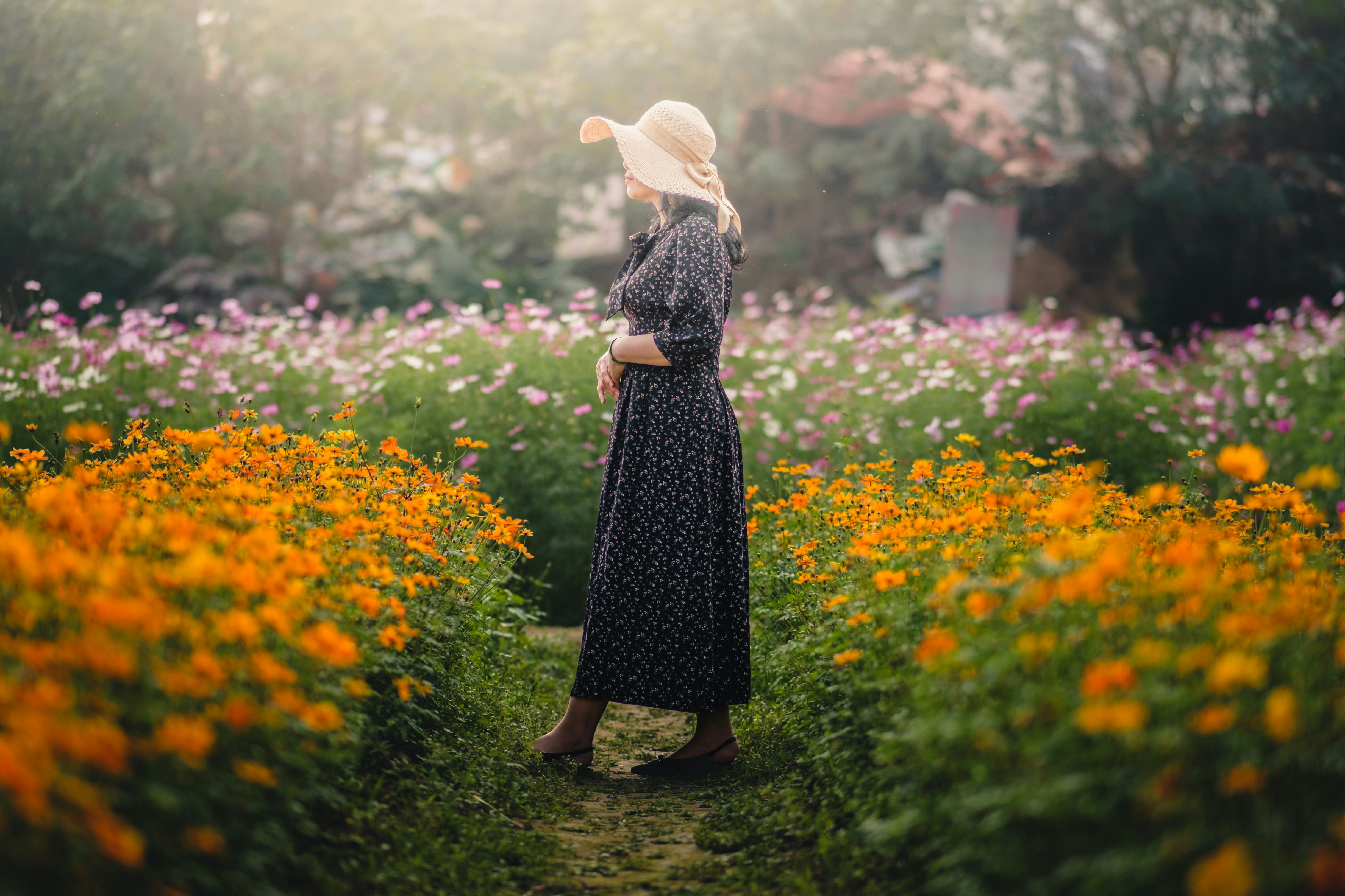 A Quiet Moment Among Spring Fire: A Woman in a Wide-Field Floral Path