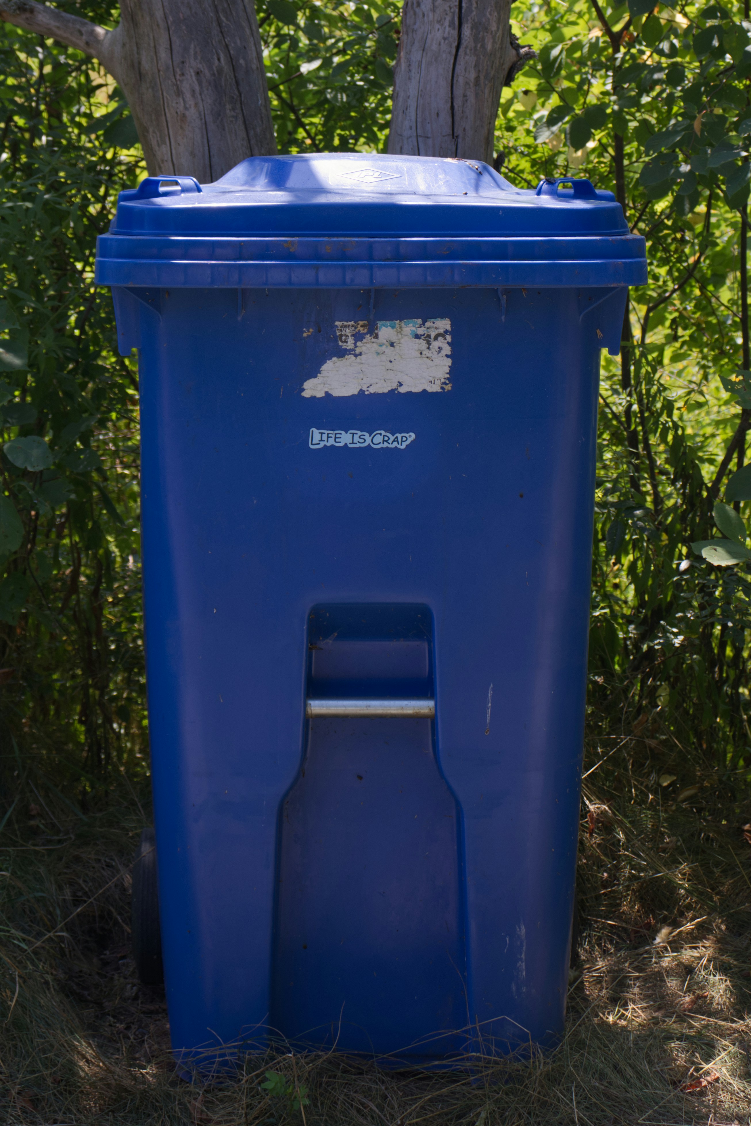Blue Bin Under Bright Green Canopy