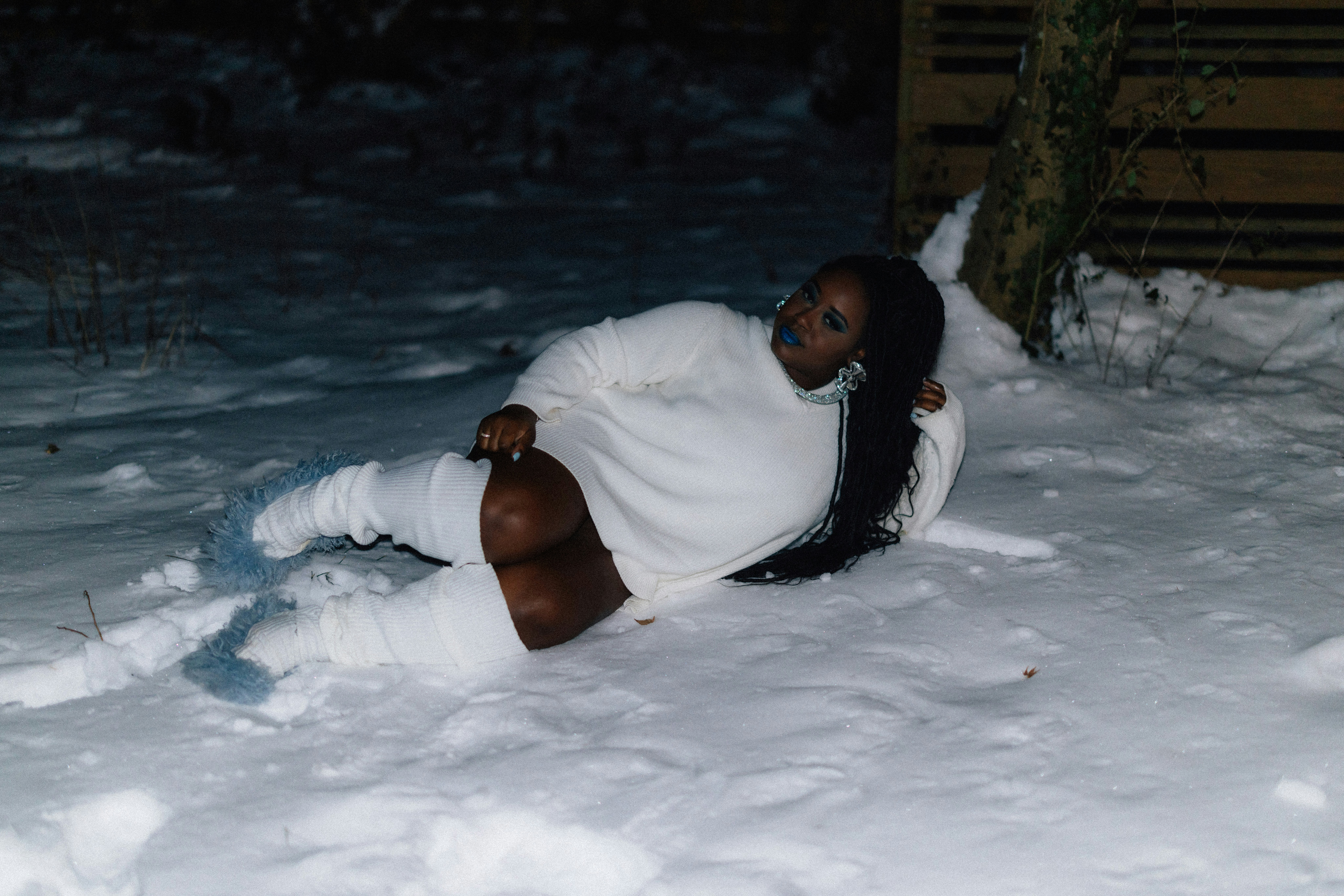 Snowbound Serenity: A Quiet Pose on Night-Frozen Ground
