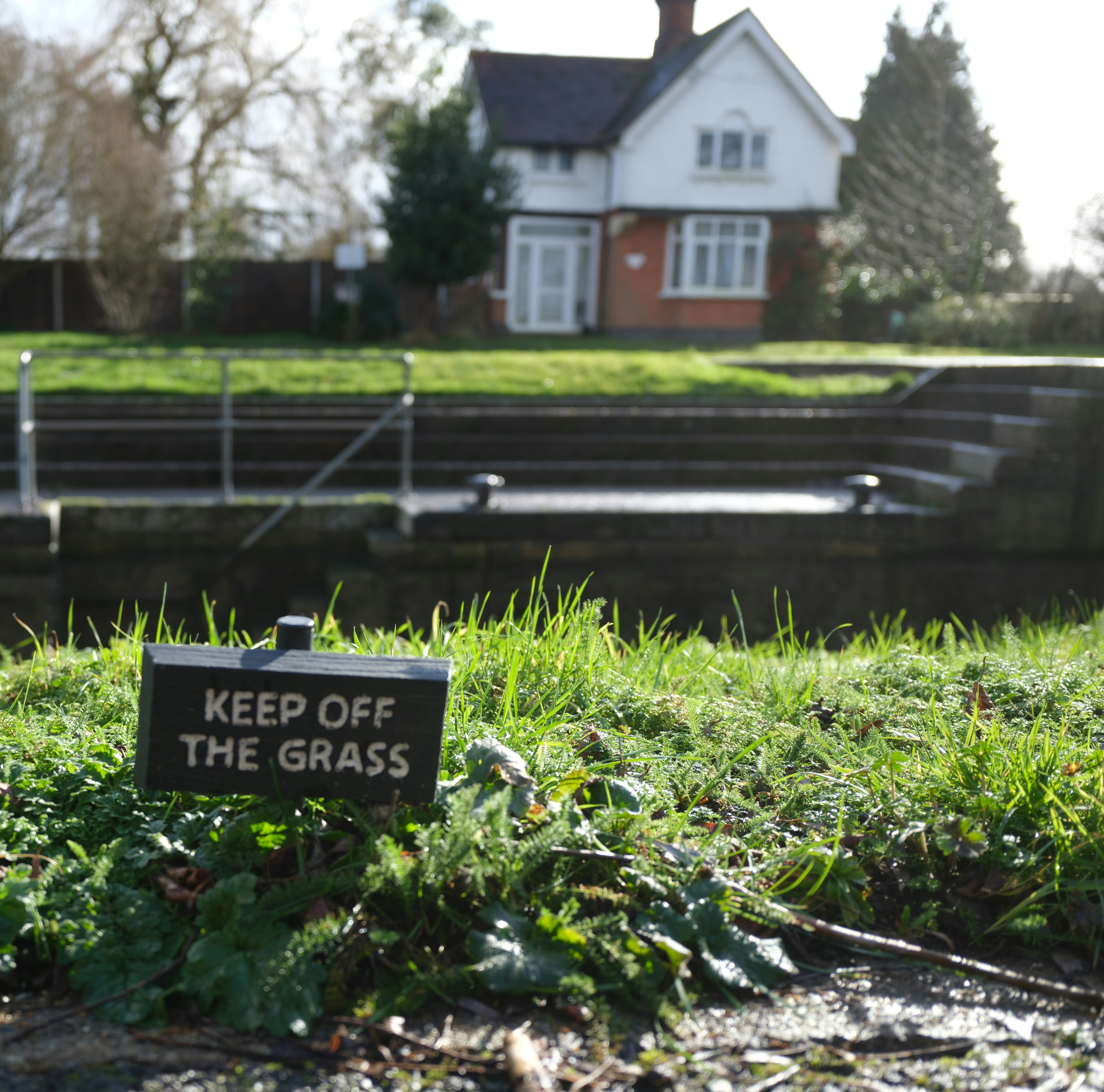 Keep Off the Grass: Suburban Sign in the Sunlit Verge
