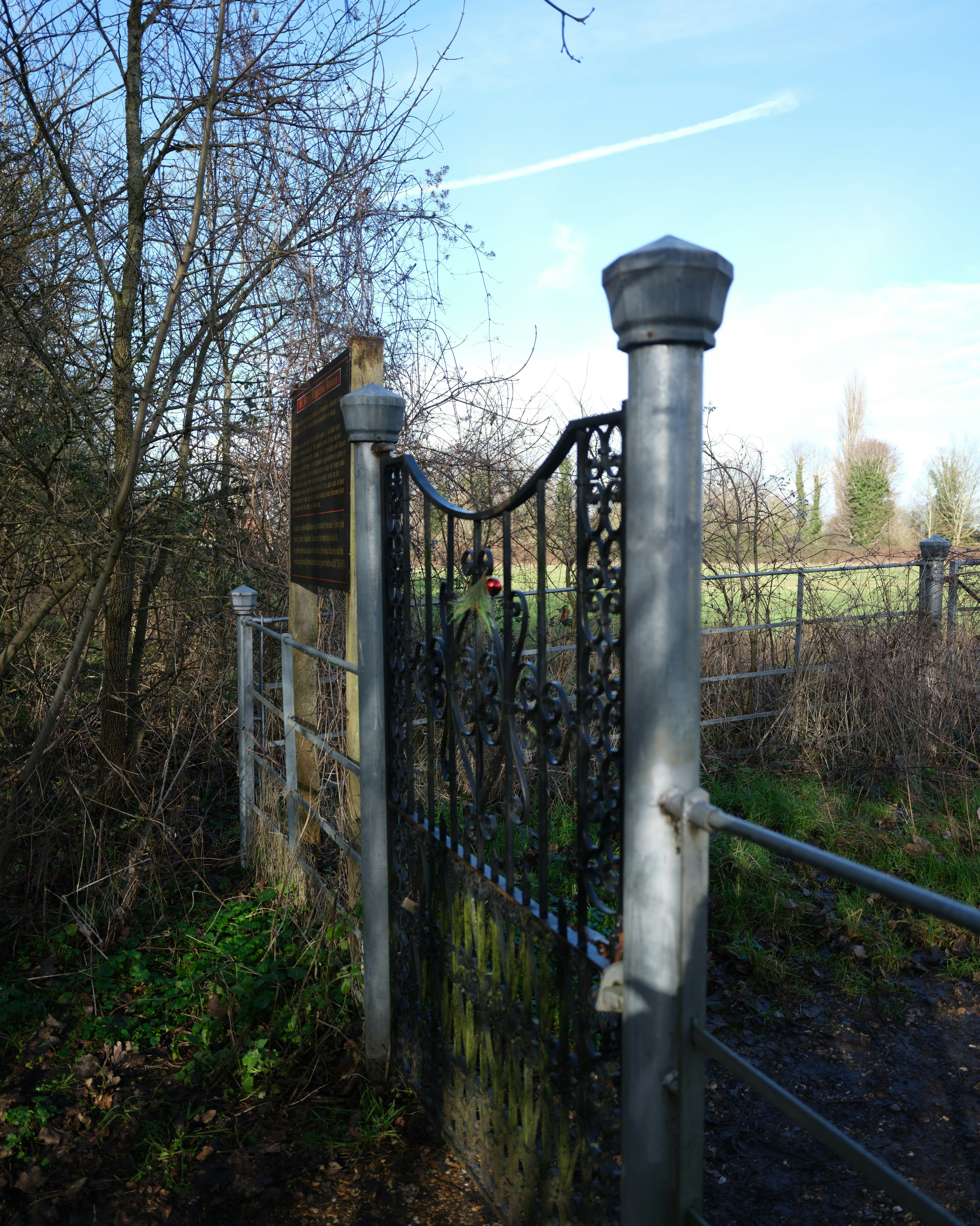 Iron Gate to the Quiet Meadow