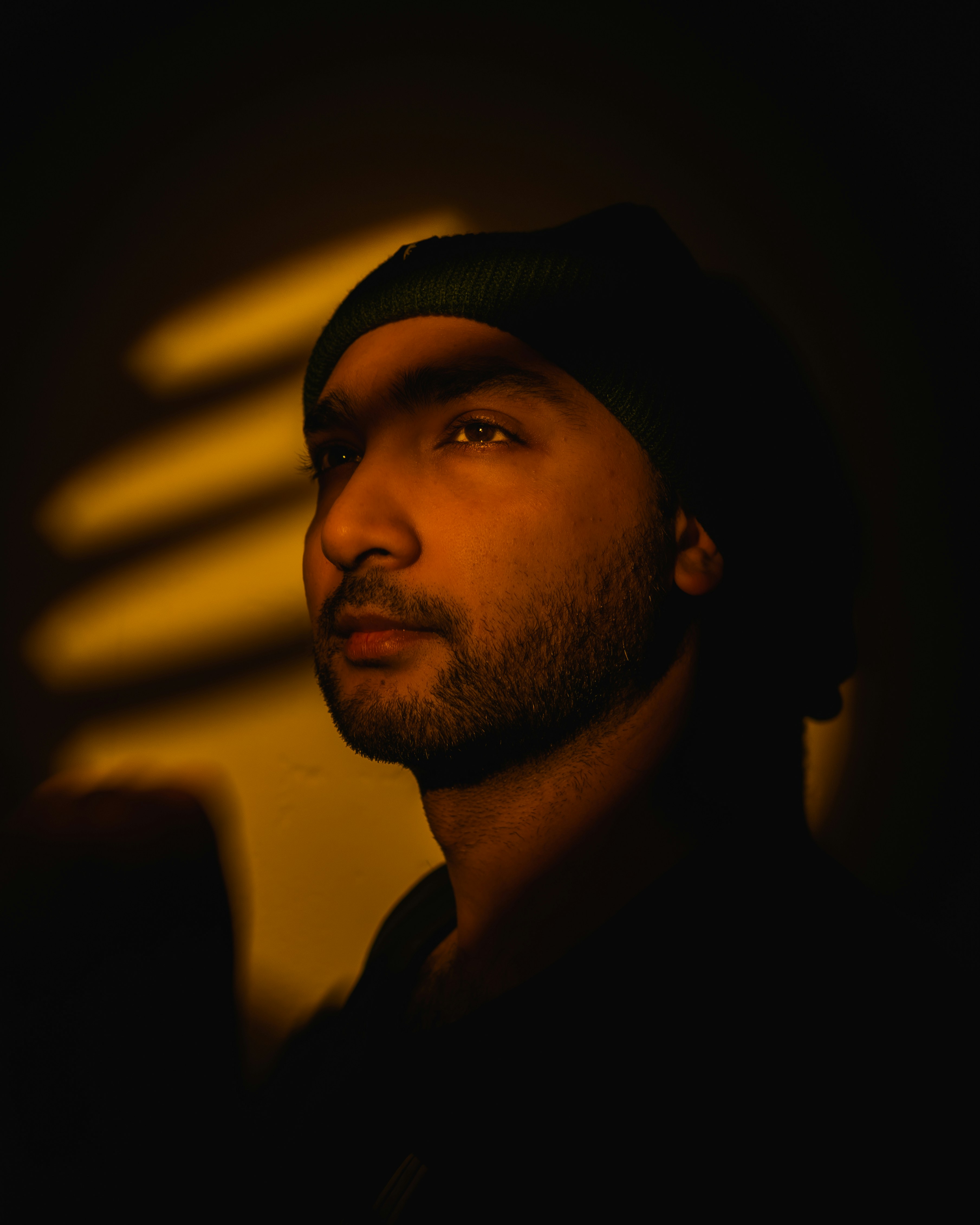 Amber Gaze: A Quiet Moment in Warm Shadows