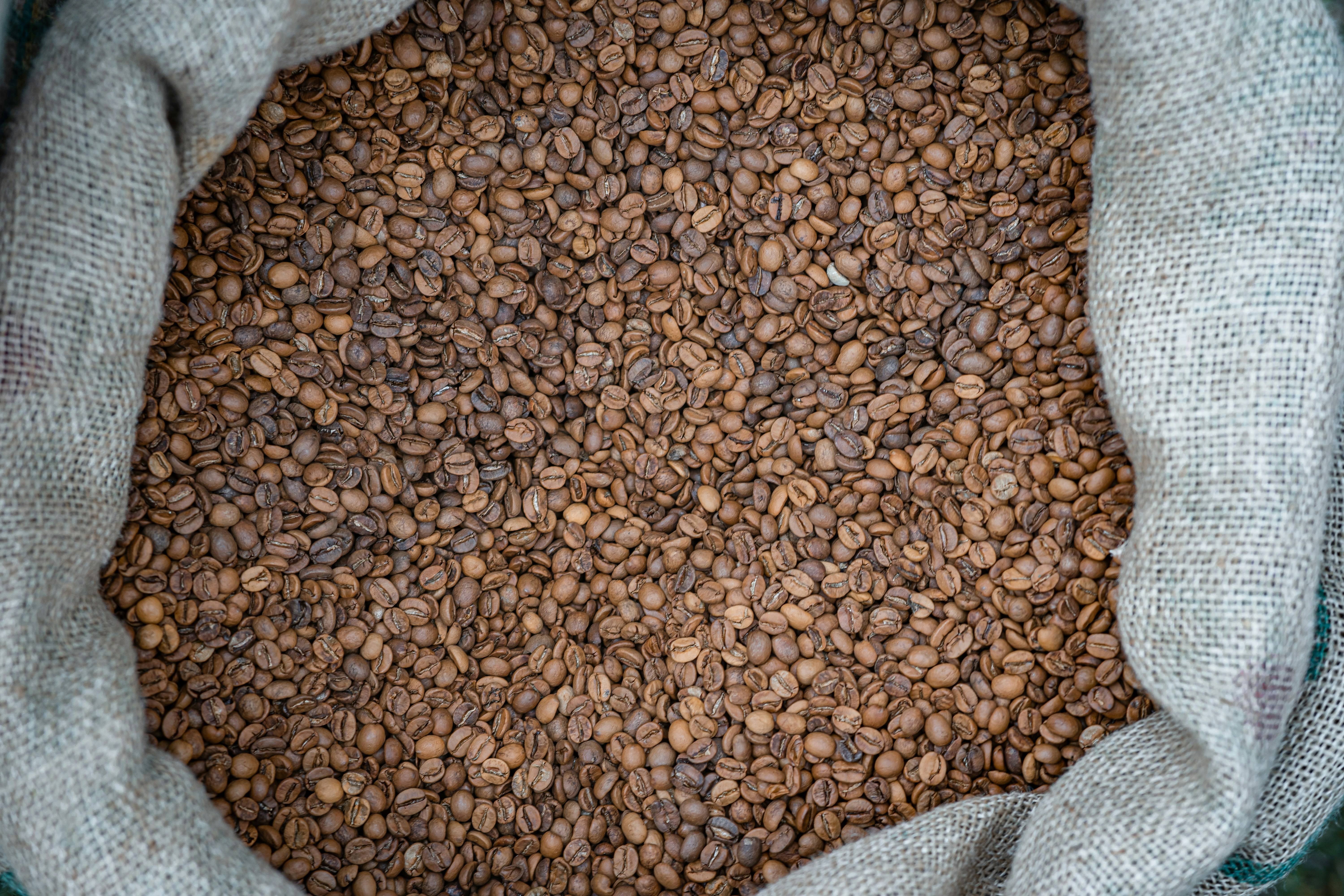 A Burlap Bowl of Warmth: Roasted Coffee Beans Framed by Textured Weave