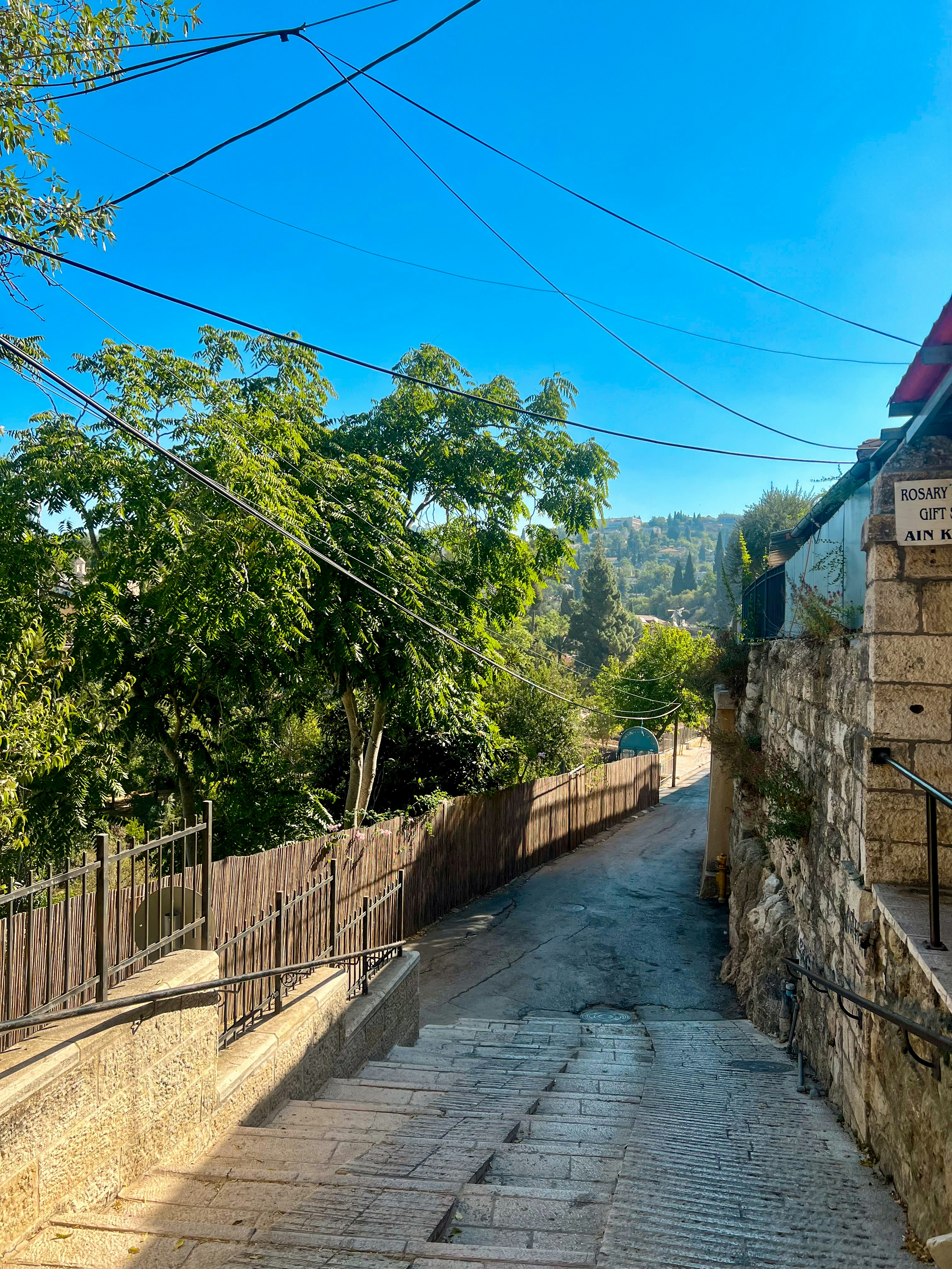 Stone Steps into the Sunny Village Path