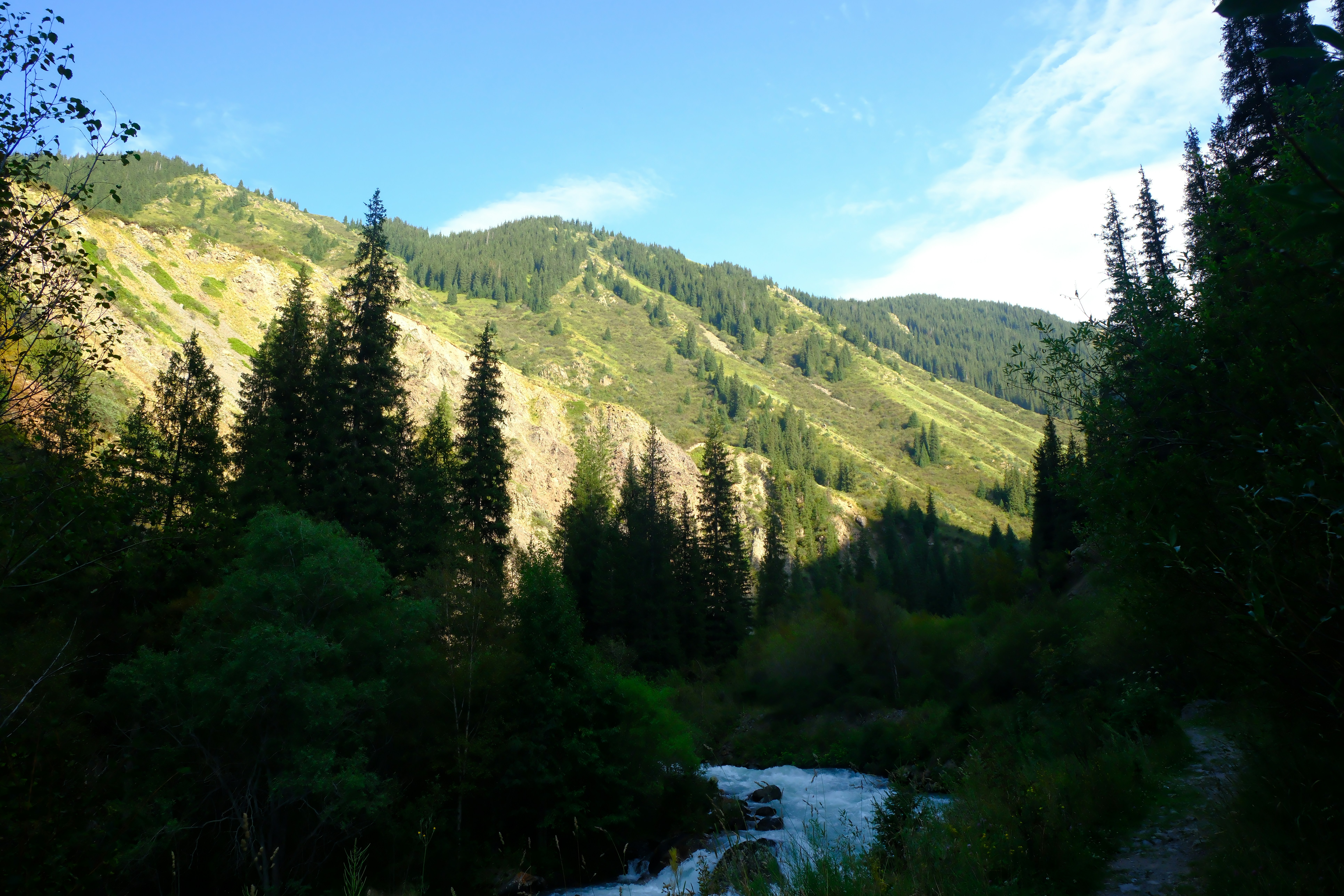 Sunlit Ridgefall over a Pine-Valley Valley