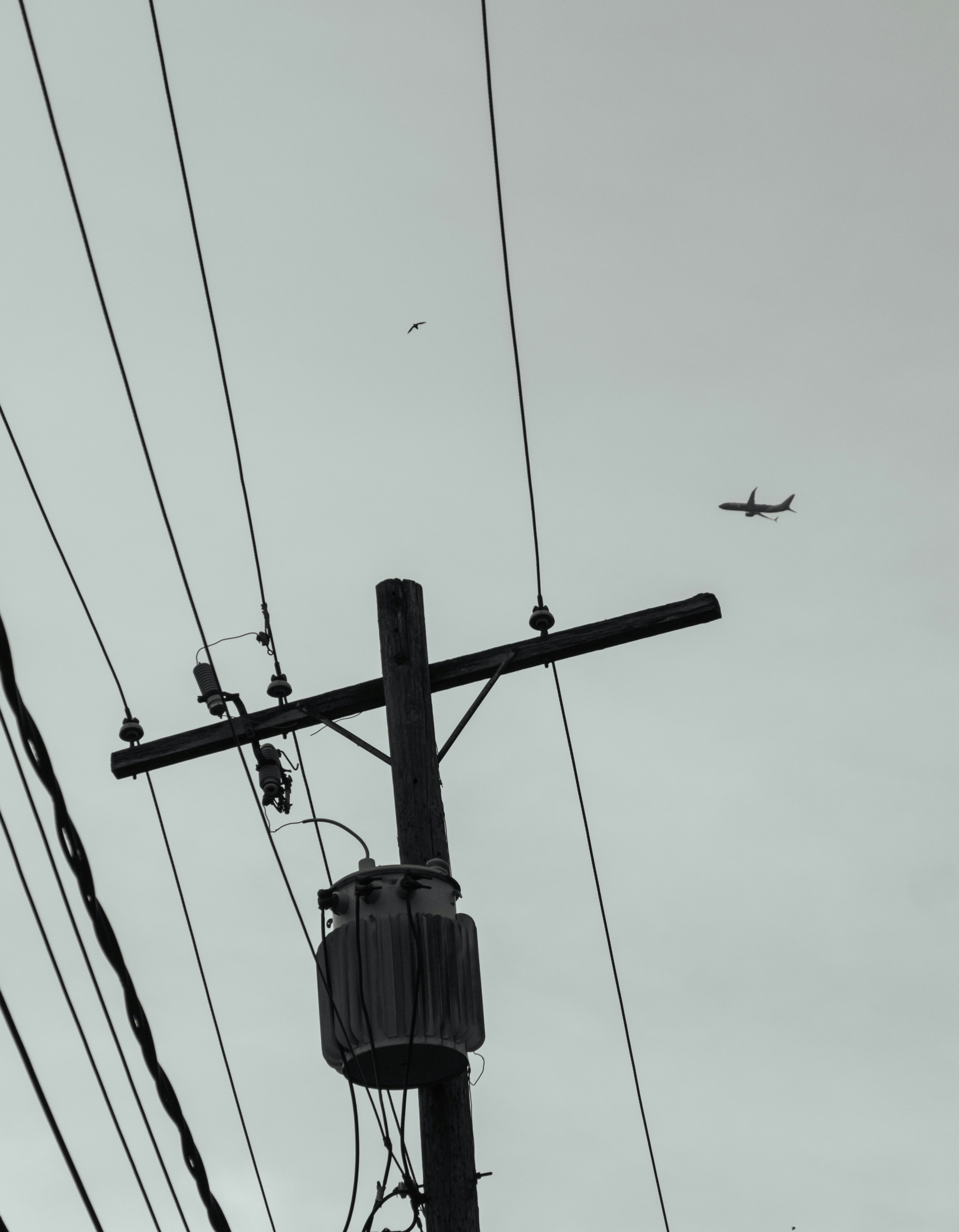 Utility Lines and Power Pole: A Quiet Skyward Moment