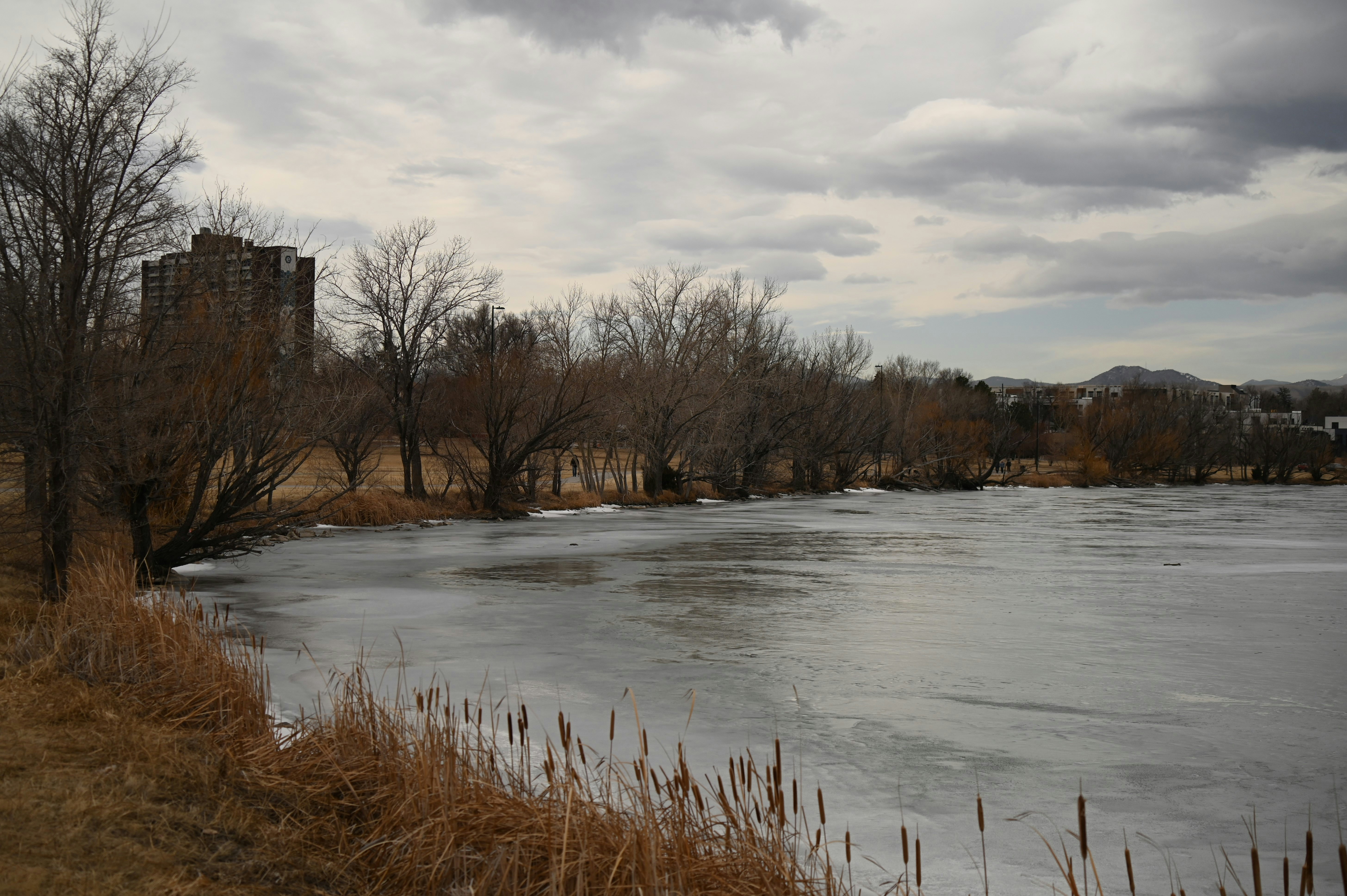 Riverbank in Winter Light with Distant Skyline