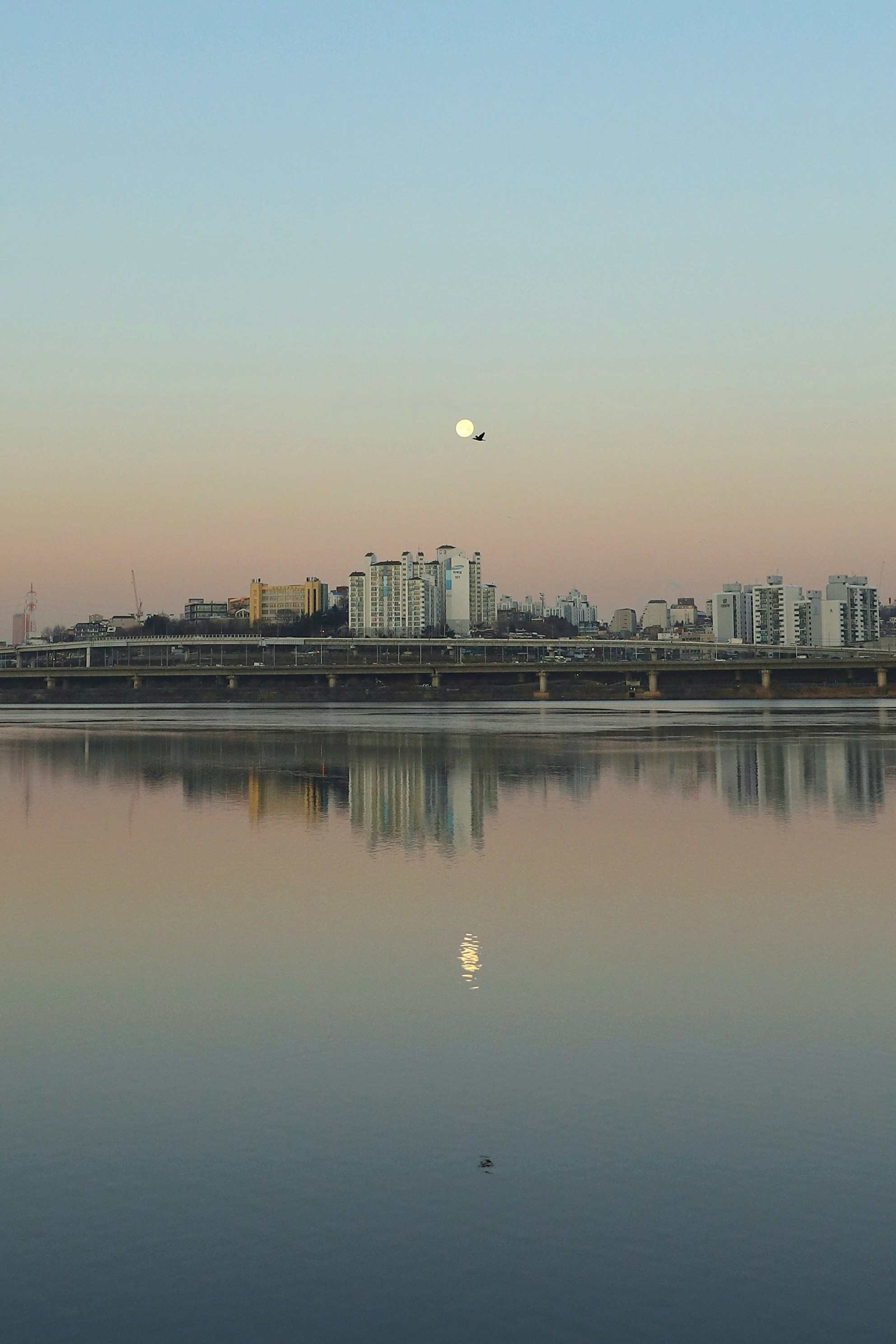 Moon Over the River: Dawn Between Buildings