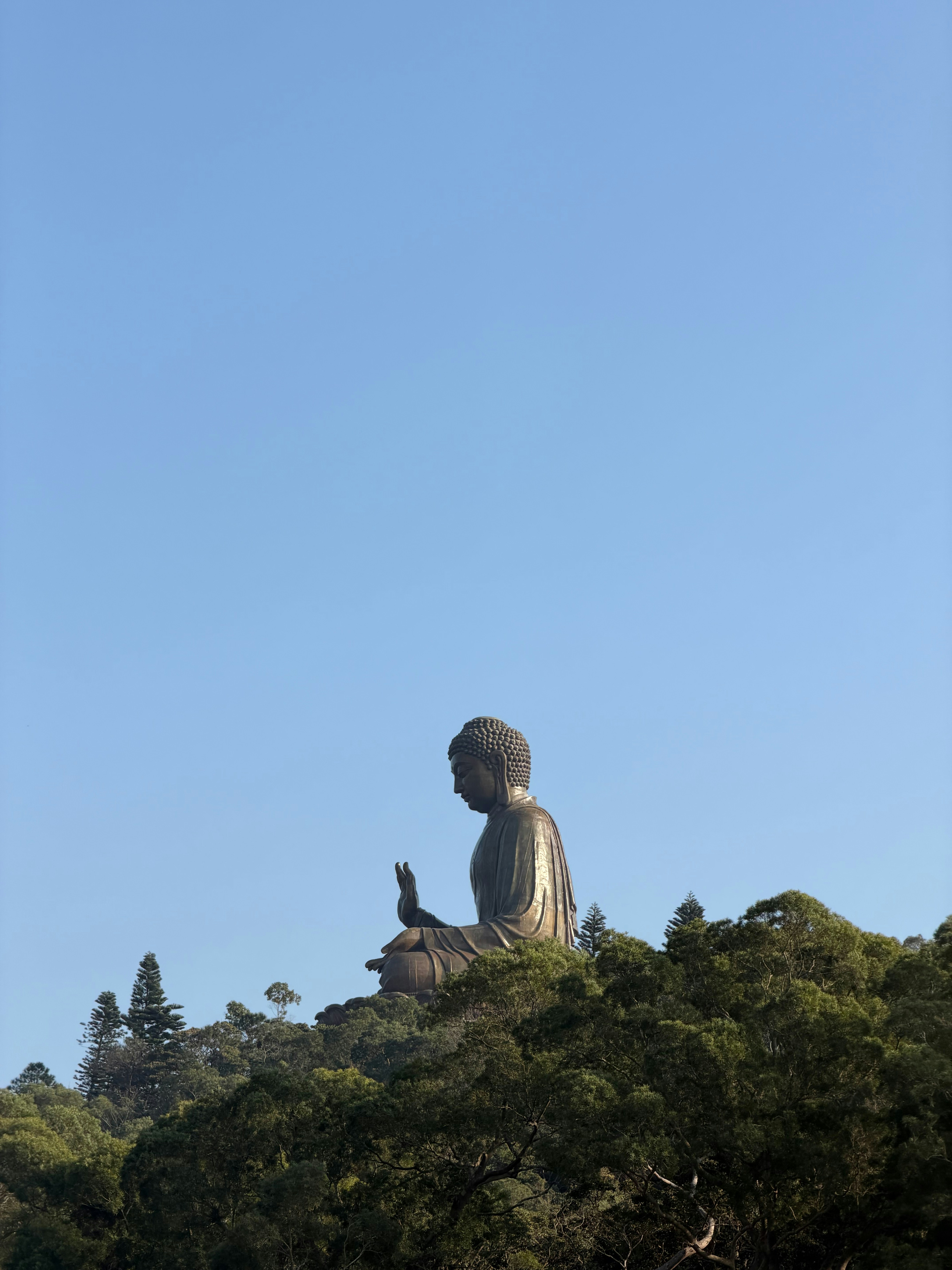 Calm Giant: A Seated Buddha Surrounded by Distant Trees Beneath a Clear Sky