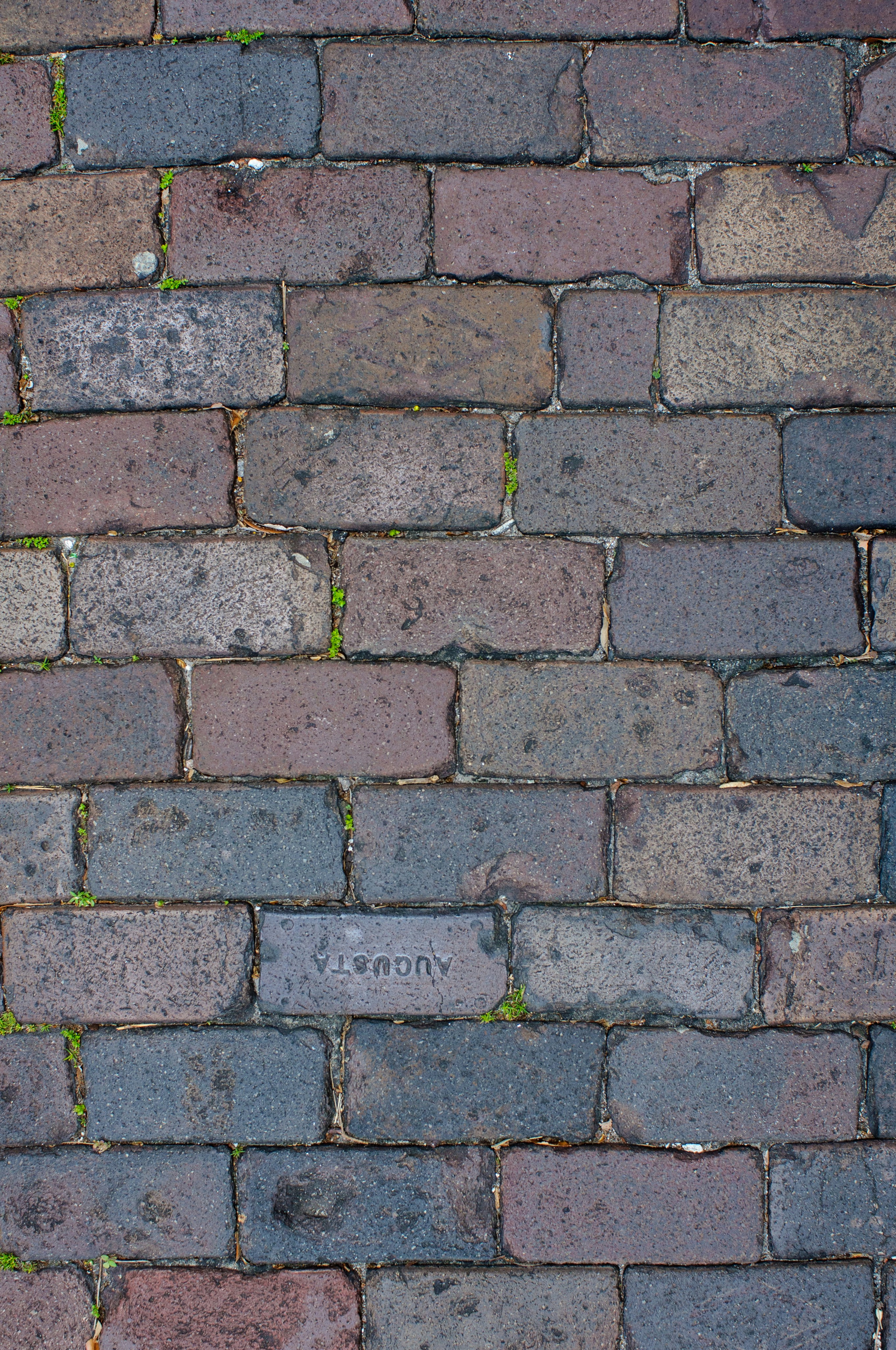 Cobblestone Canyon: A Weathered Brick Walkway in Muted Light
