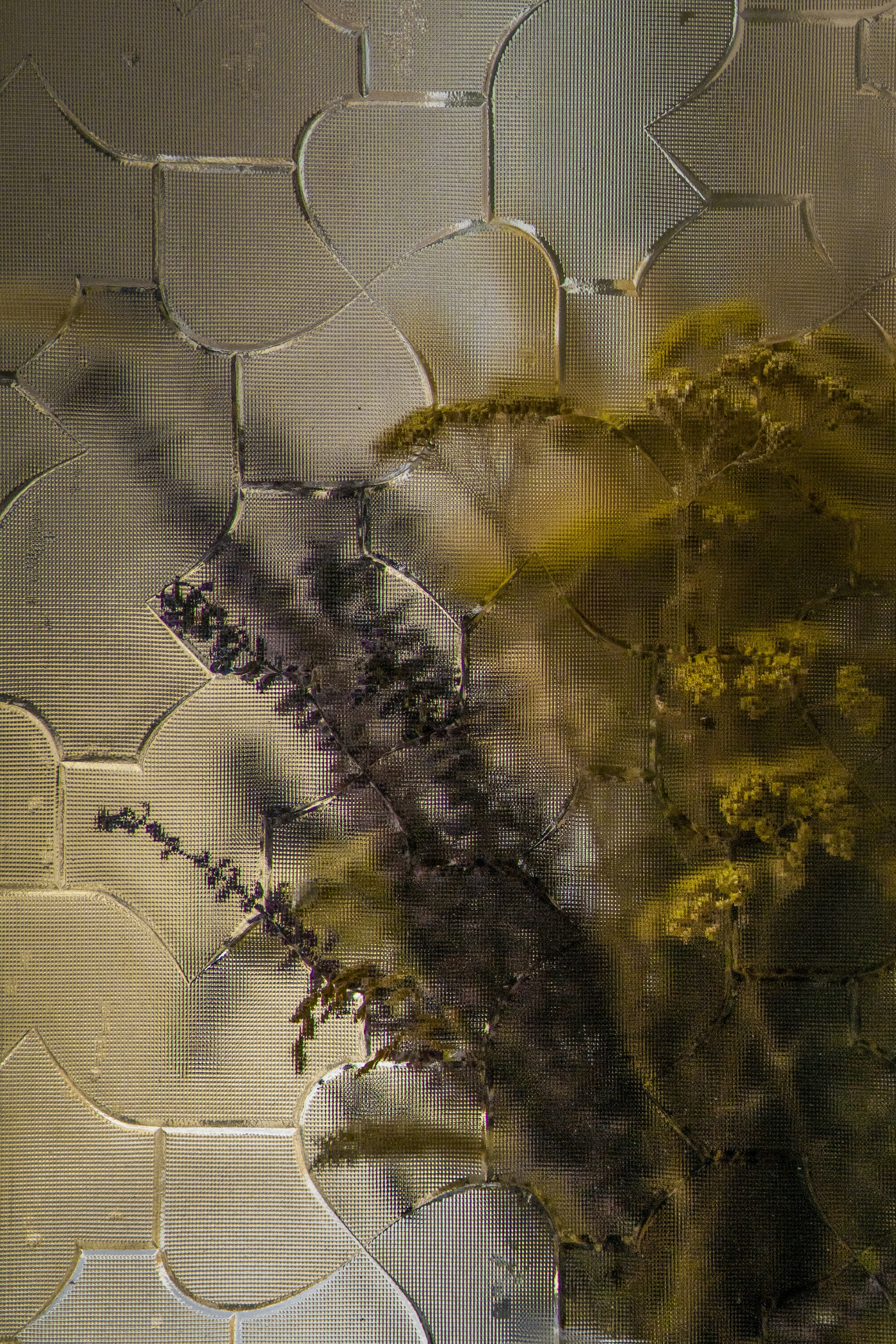 Patterned Glass and Plant Shadows: A Quiet Textured Composition