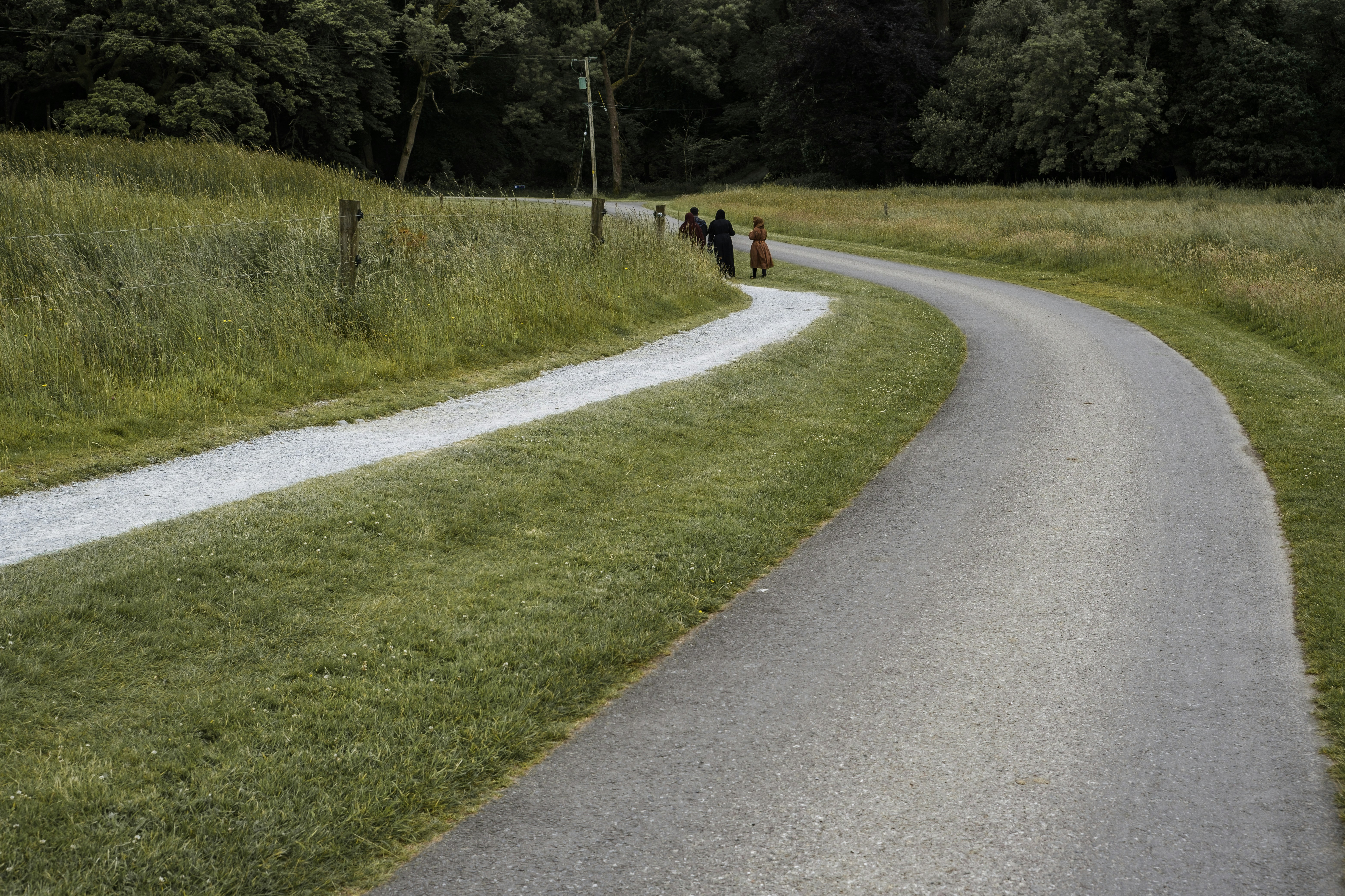 Winding Path Through Meadow Toward a Distant Group