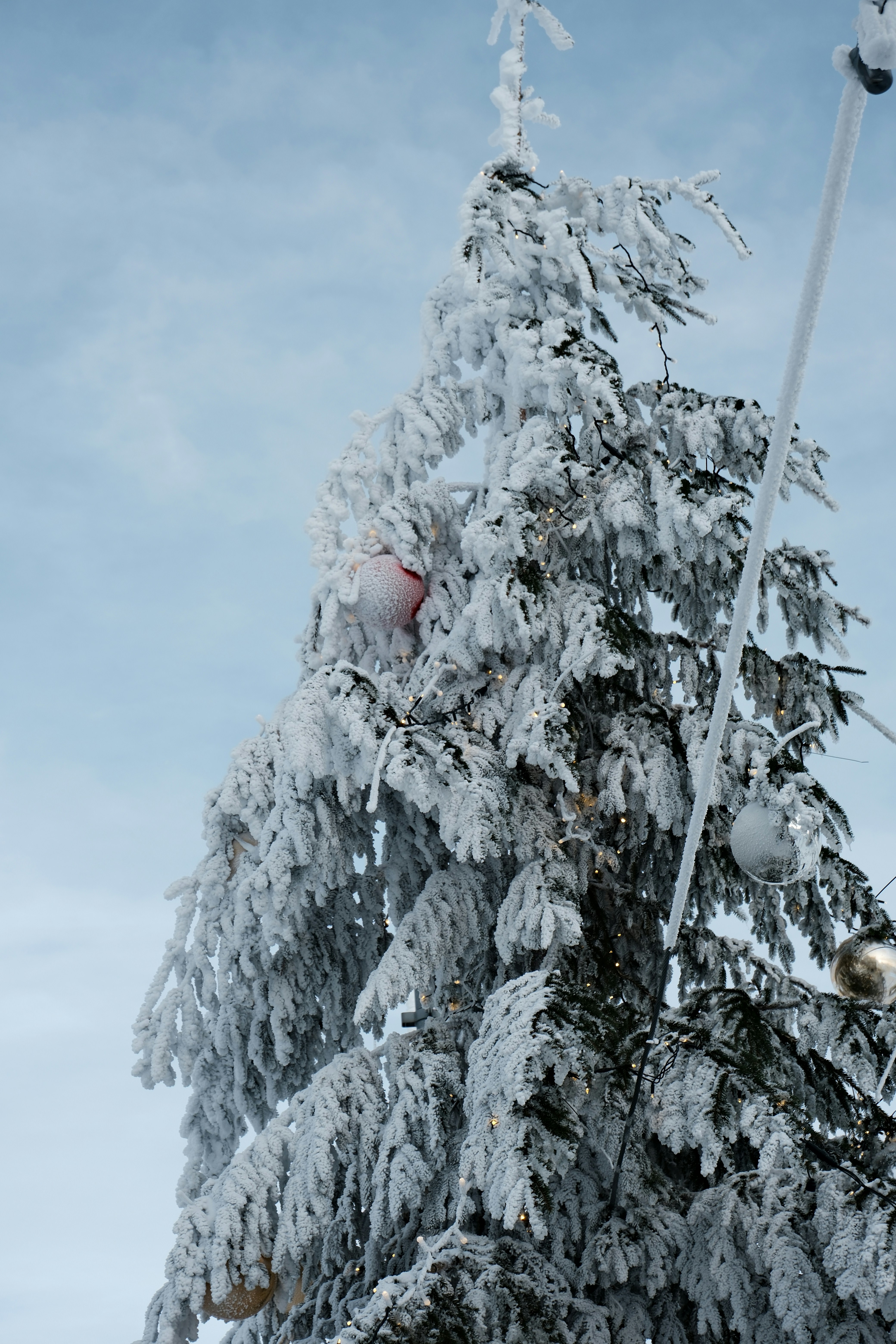 Snow-Covered Christmas Pine with Hanging Ornaments