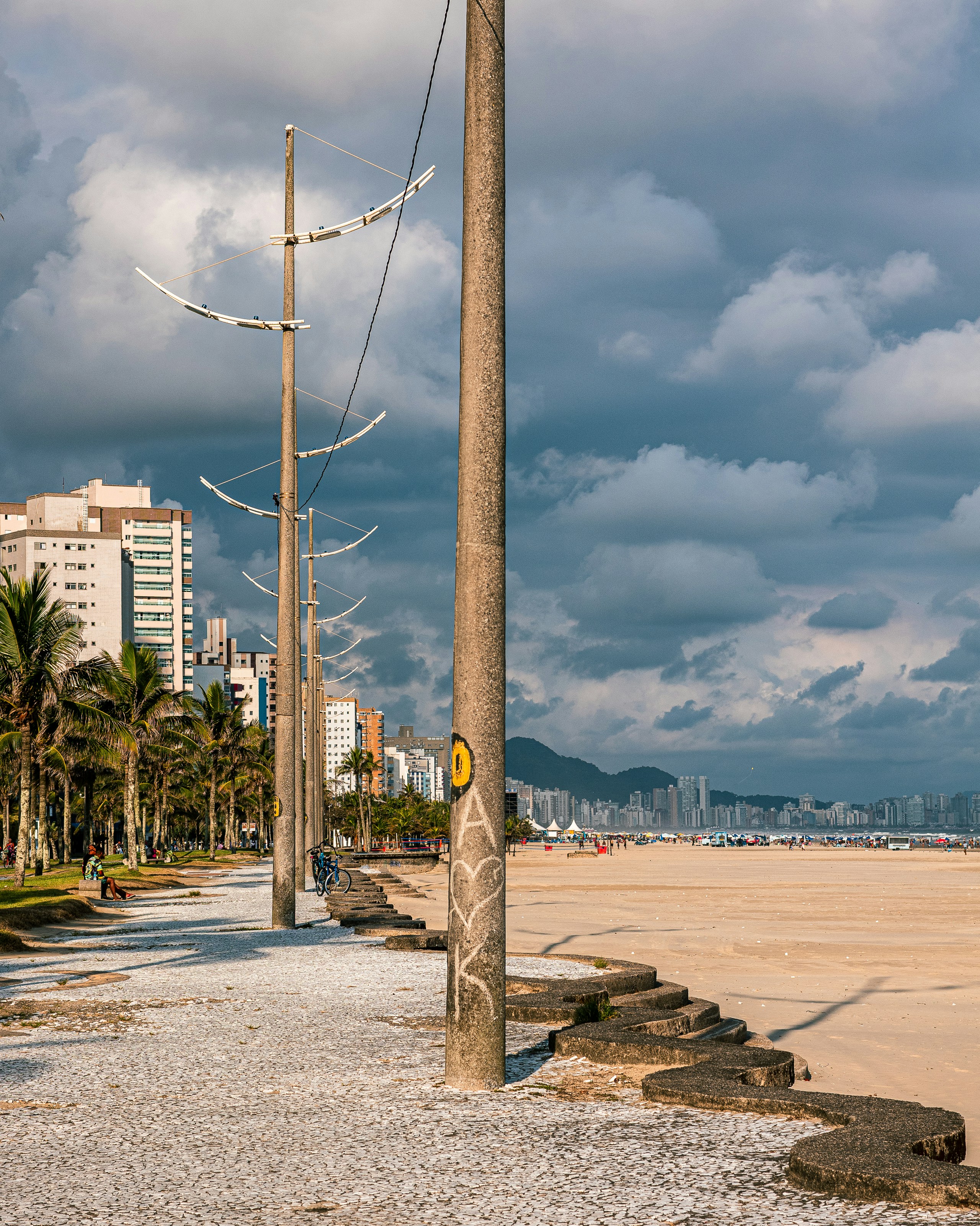 Palm-lined Promenade Meets Ocean Sky