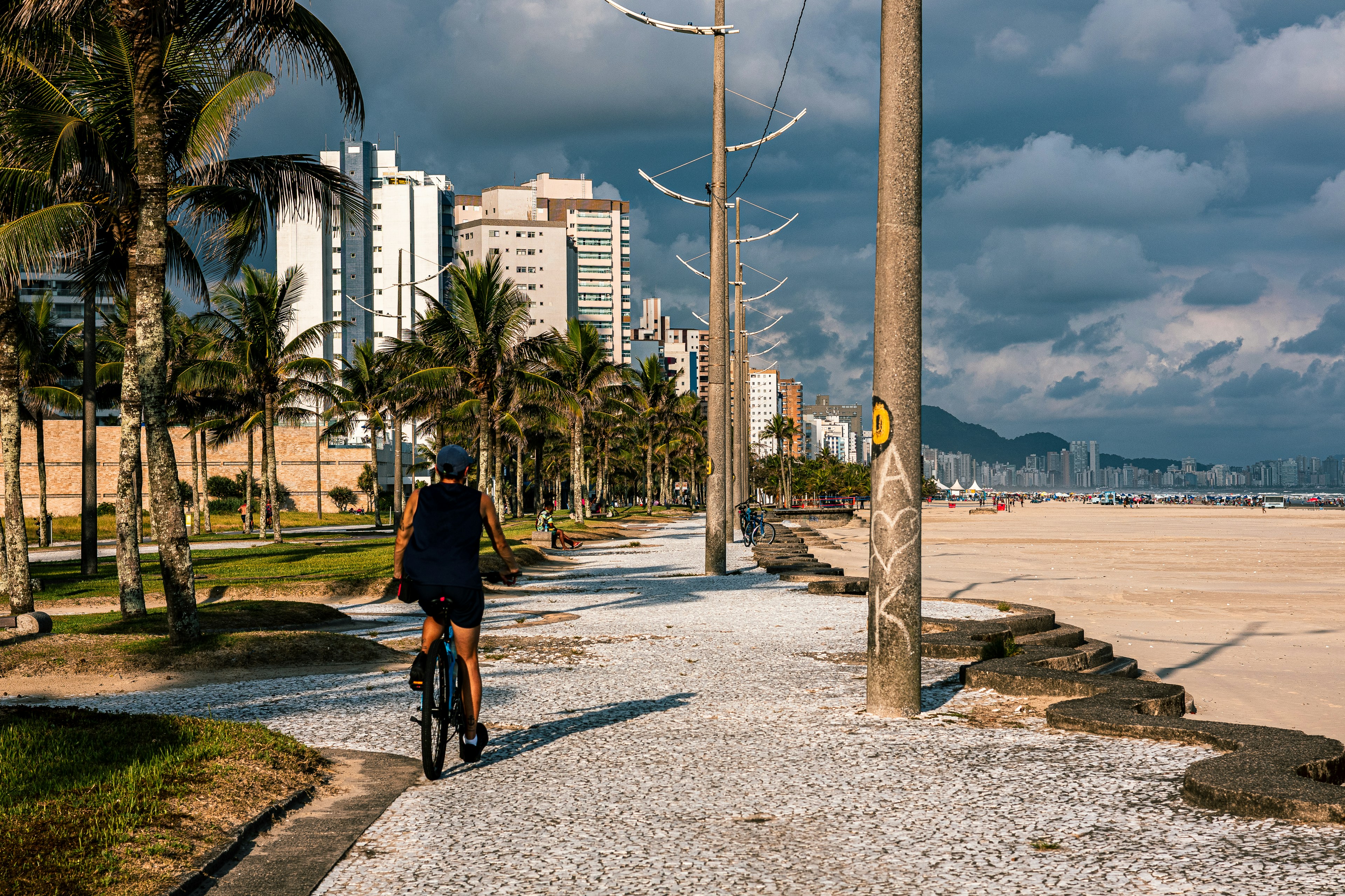 Riverside Ride: A Lone Cyclist Along the Palm-Studded Boardwalk