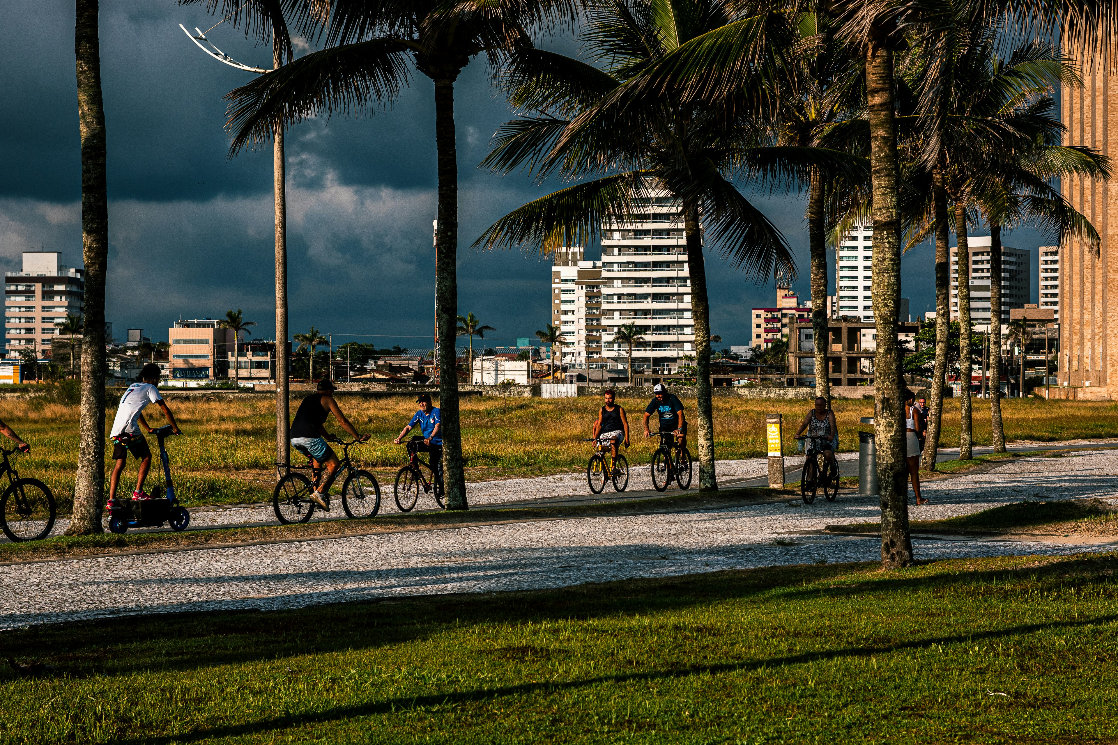 After-work Ride Along the Palm-Shaded Promenade