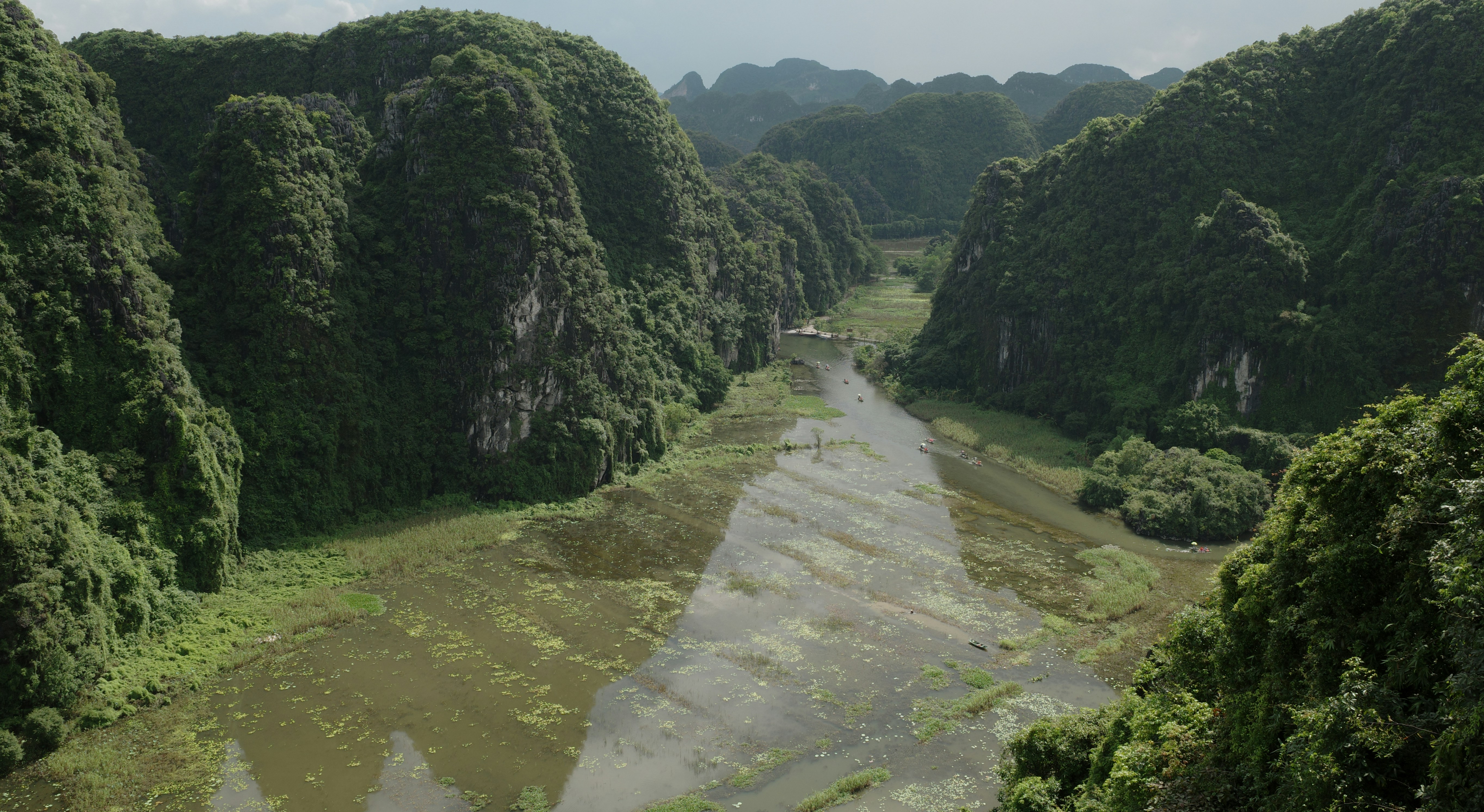 Verdant Gorge: A River Valley Framed Between Towering Karst