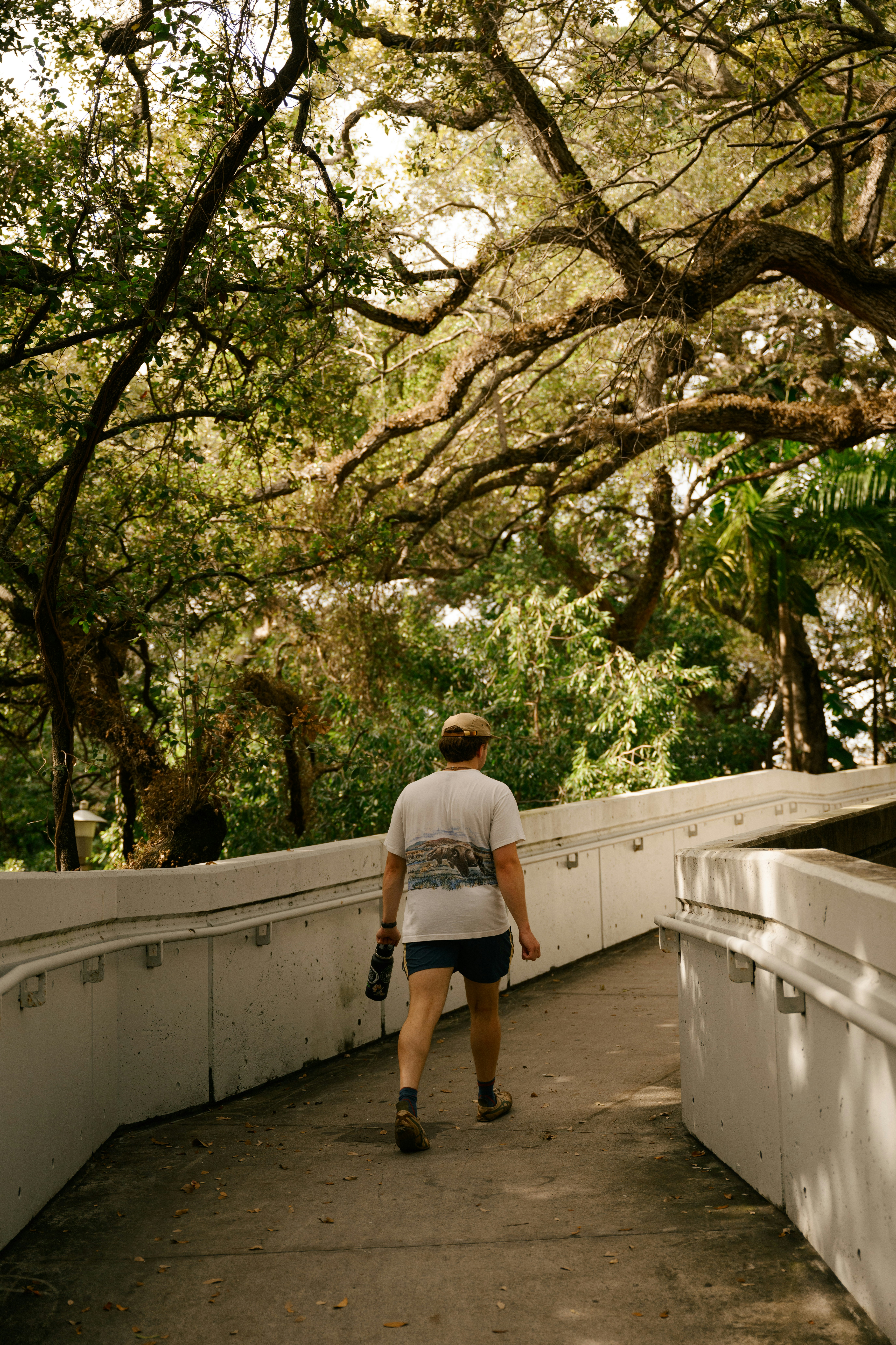 Midway Ascent: A Hiker on a Sunlit Bridge
