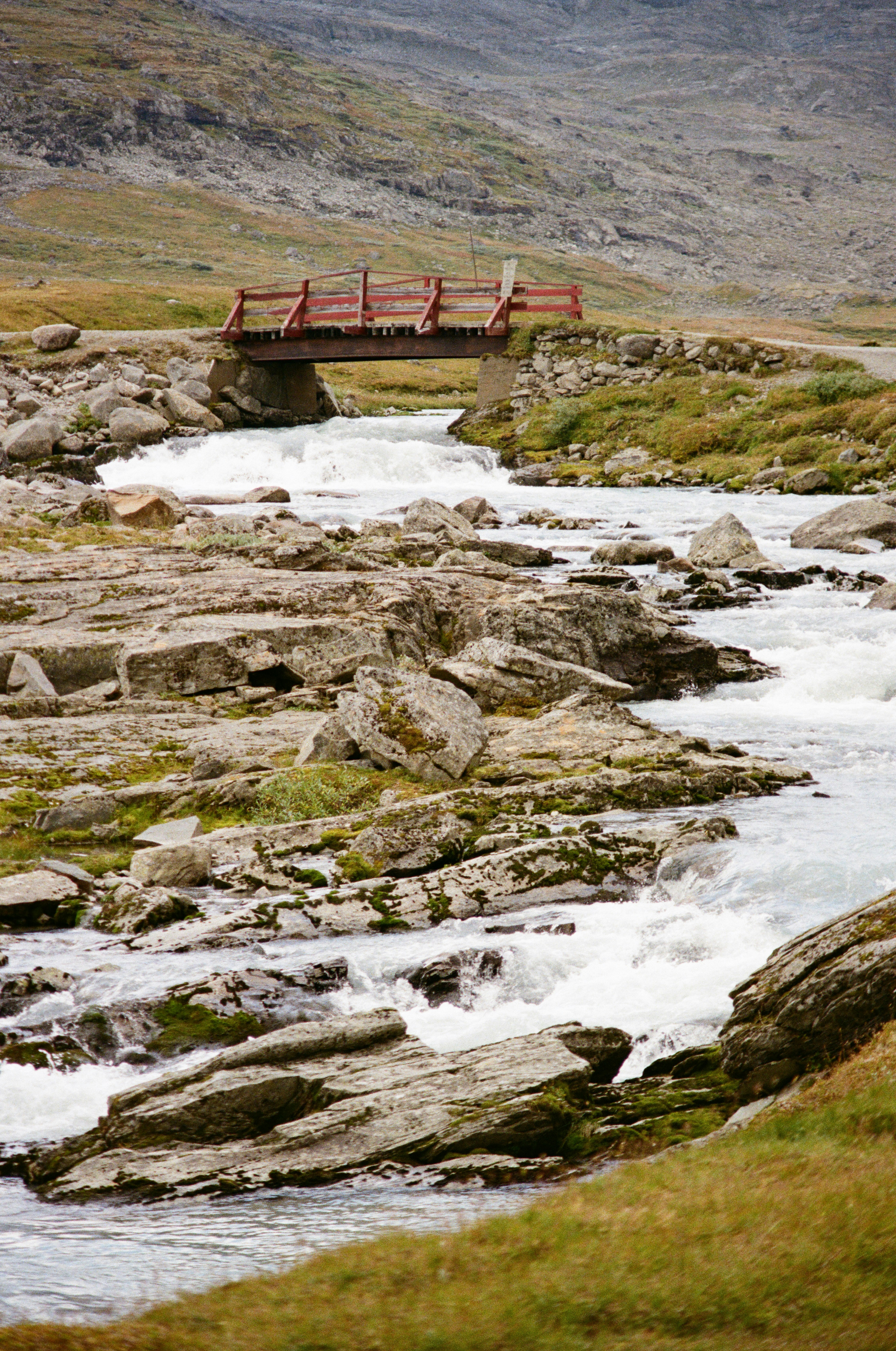 A Rustic Span Over Turbulent Alpine Flow