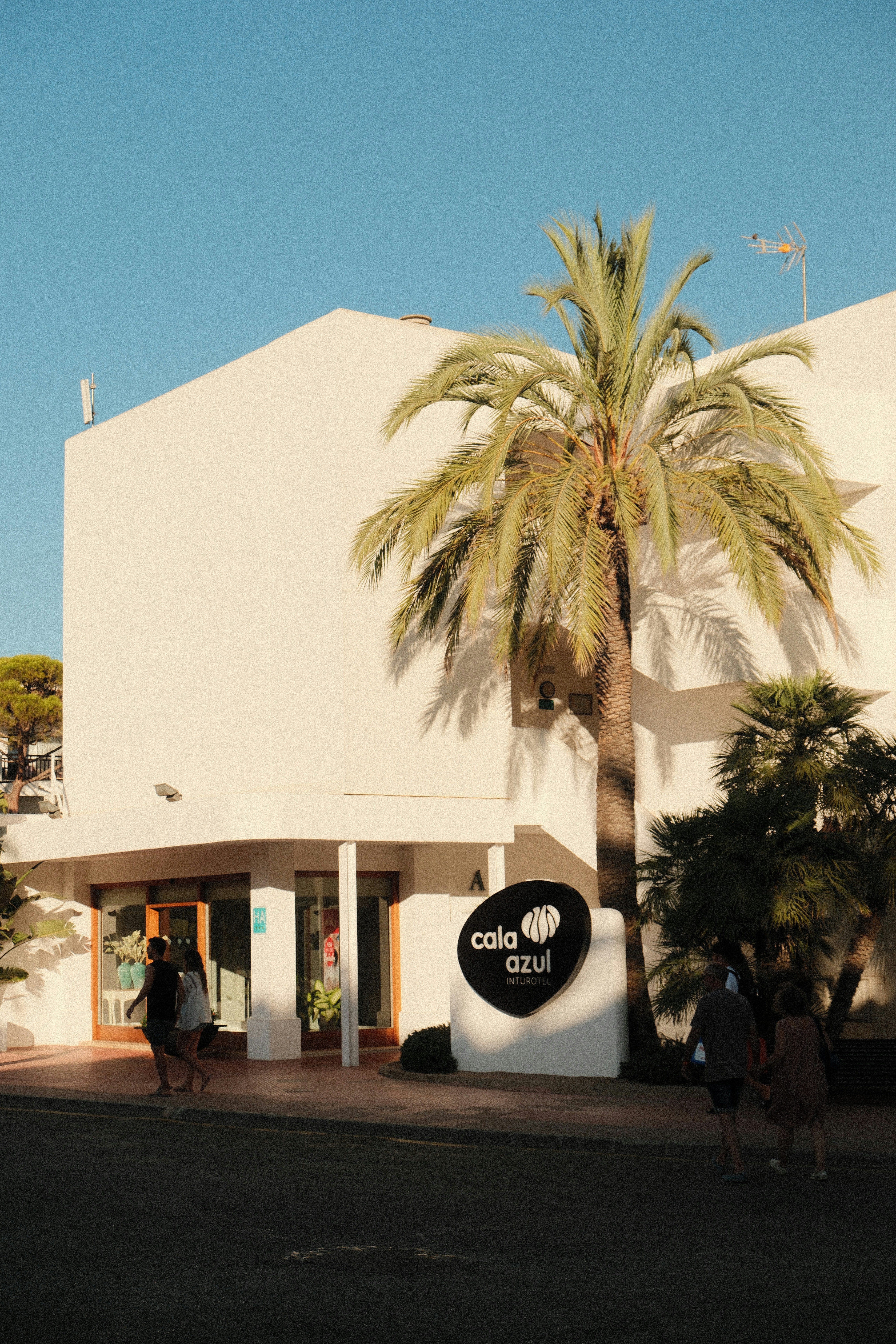 Palm-Shaded Corner of Cala Azul: Modern White Facade and Tropical Presence