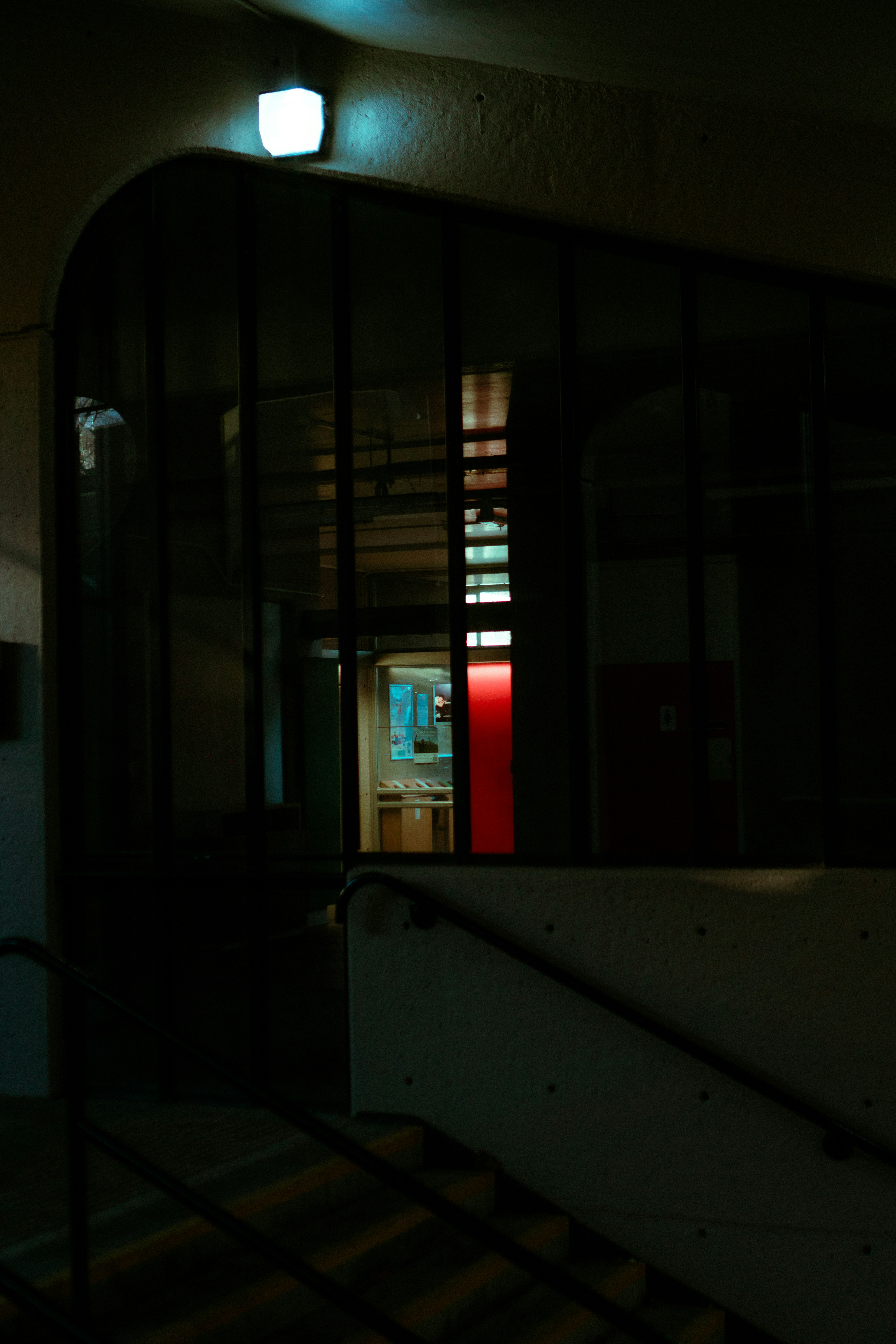 Midnight Atrium: Neon Light Through the Glass
