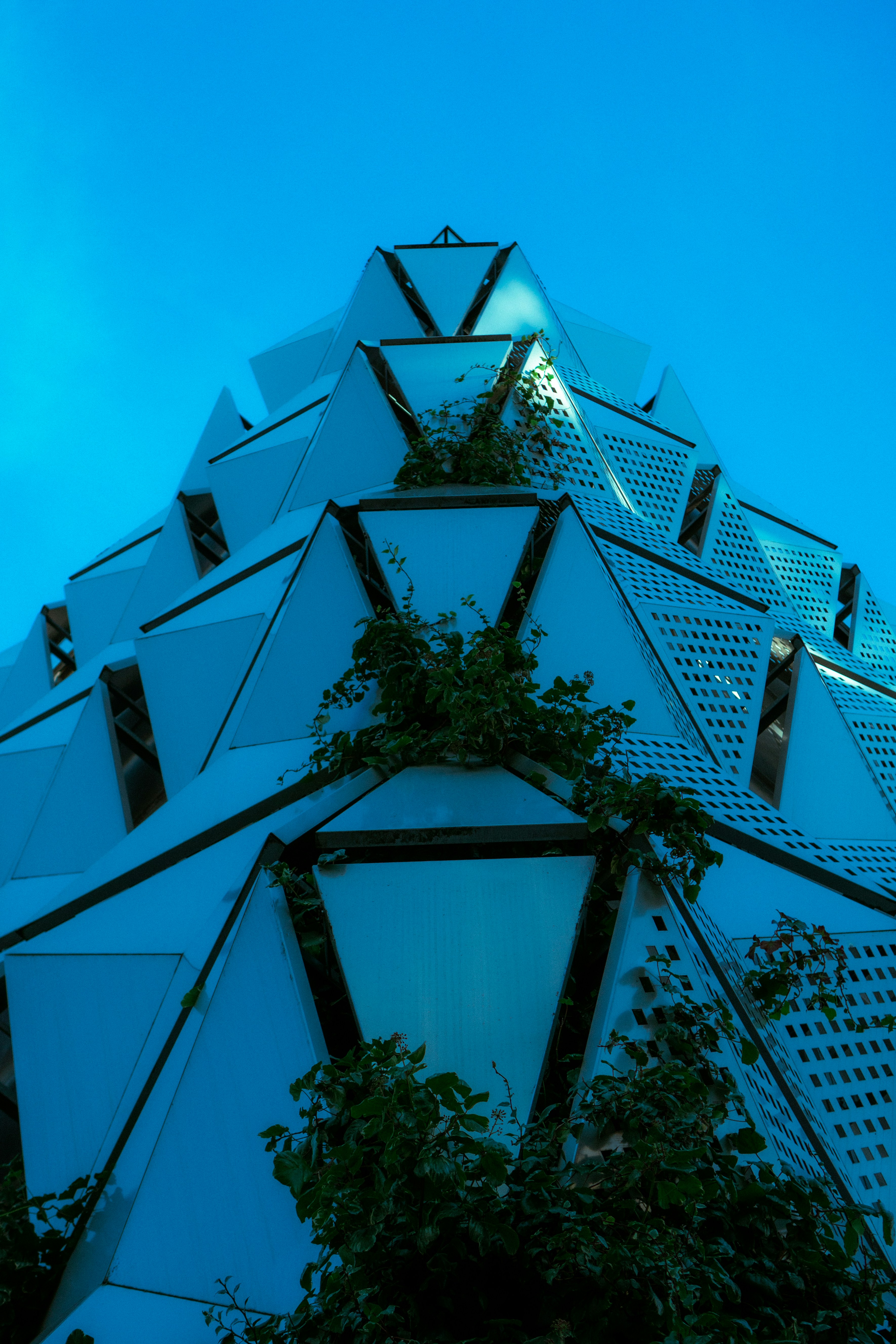 Angular Facets Ascend: A Blue-Tinted Tower Embraced by Vining Green