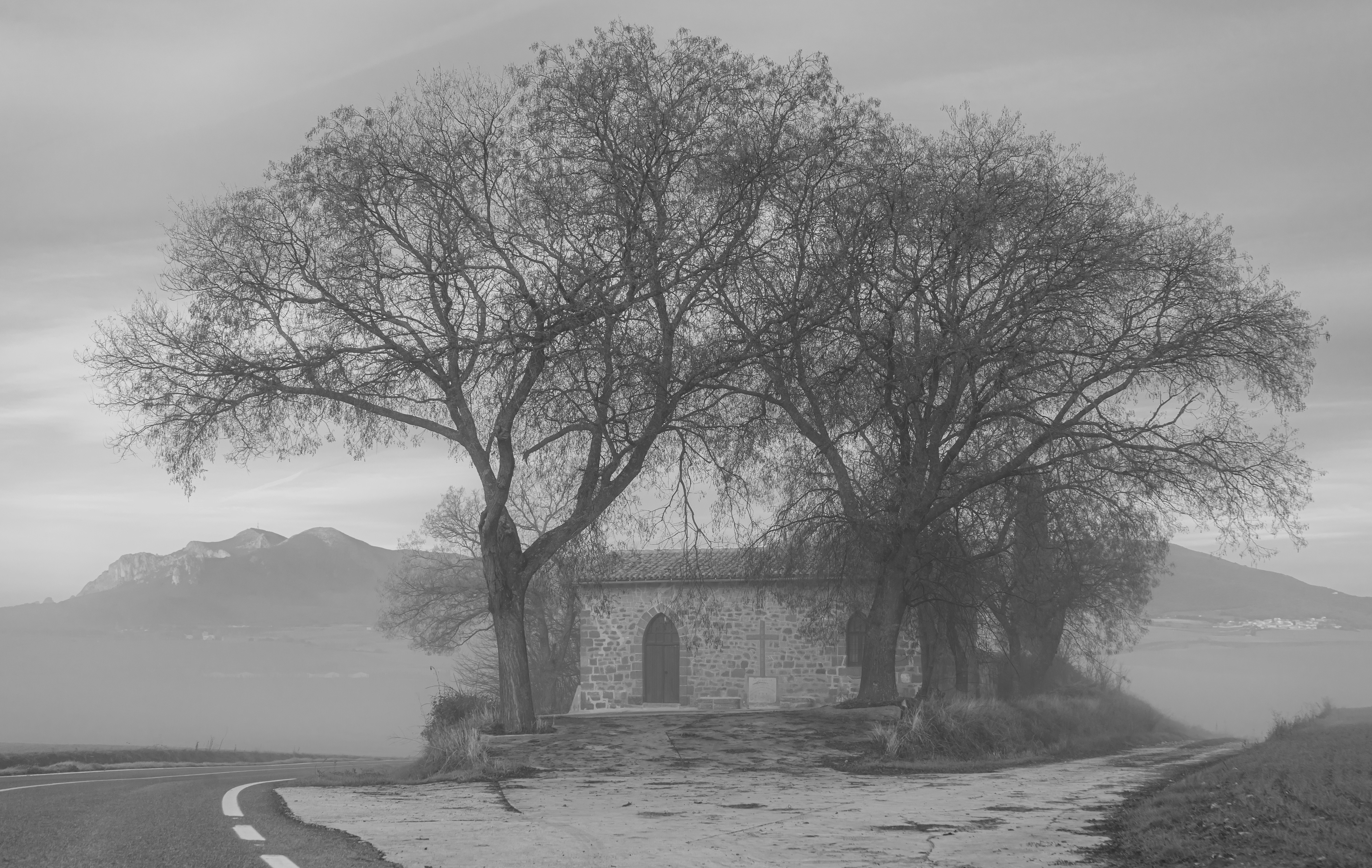 Stone Arches Beneath Widow-Tree: a Quiet Isle