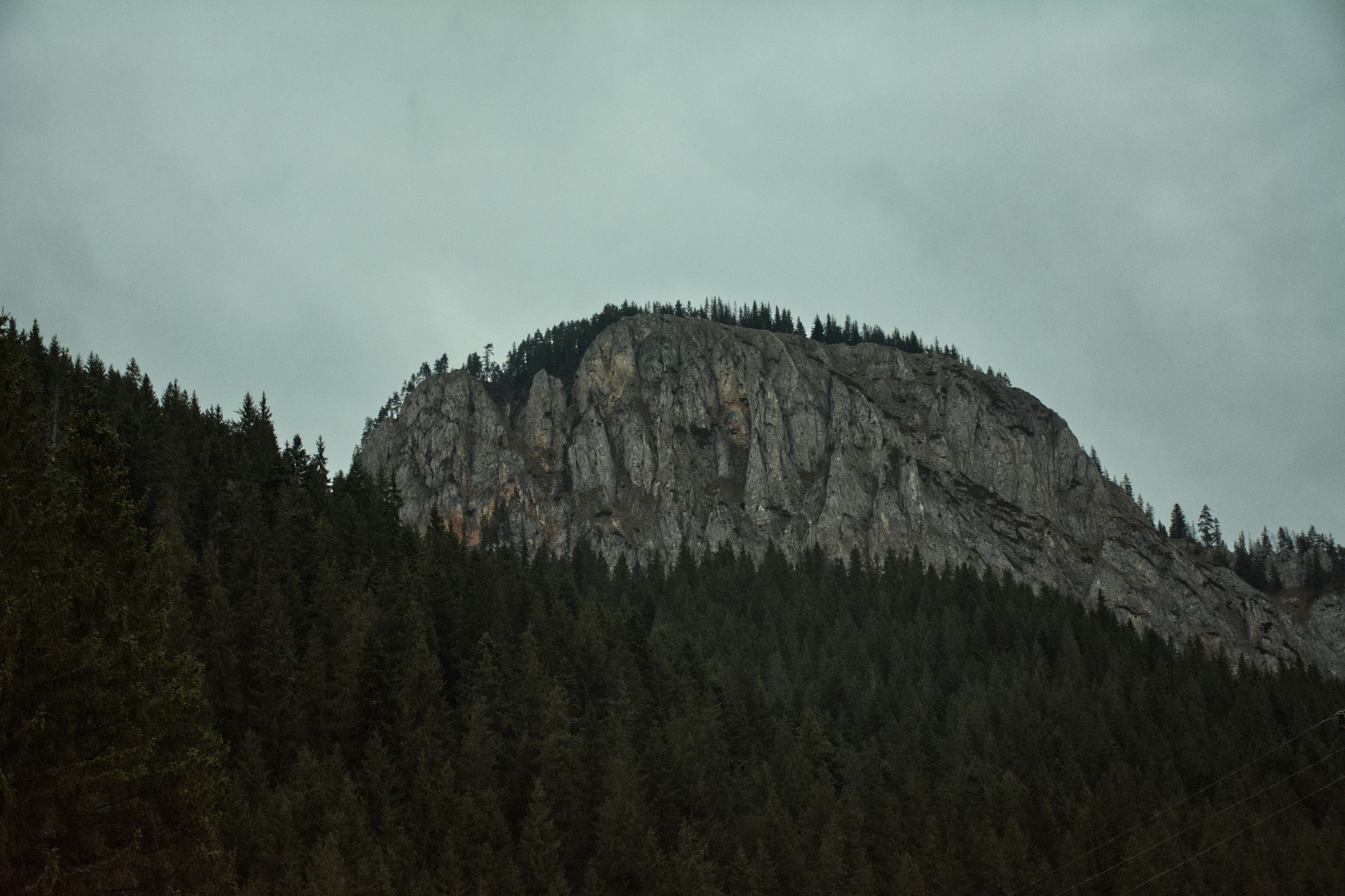 Granite Sentinel Rises Above Evergreen Threshold