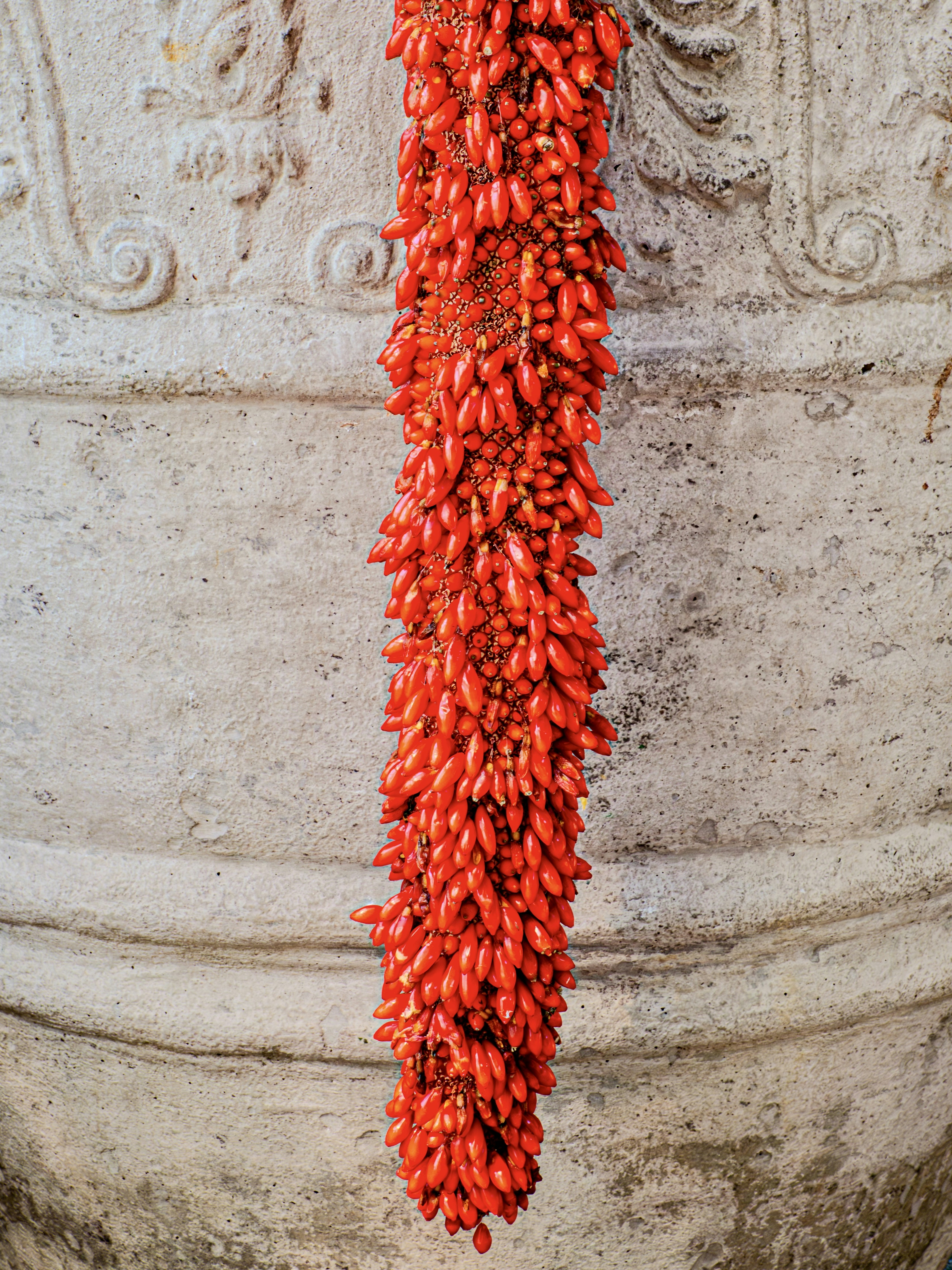 Red chili tassel draped against a stone pedestal