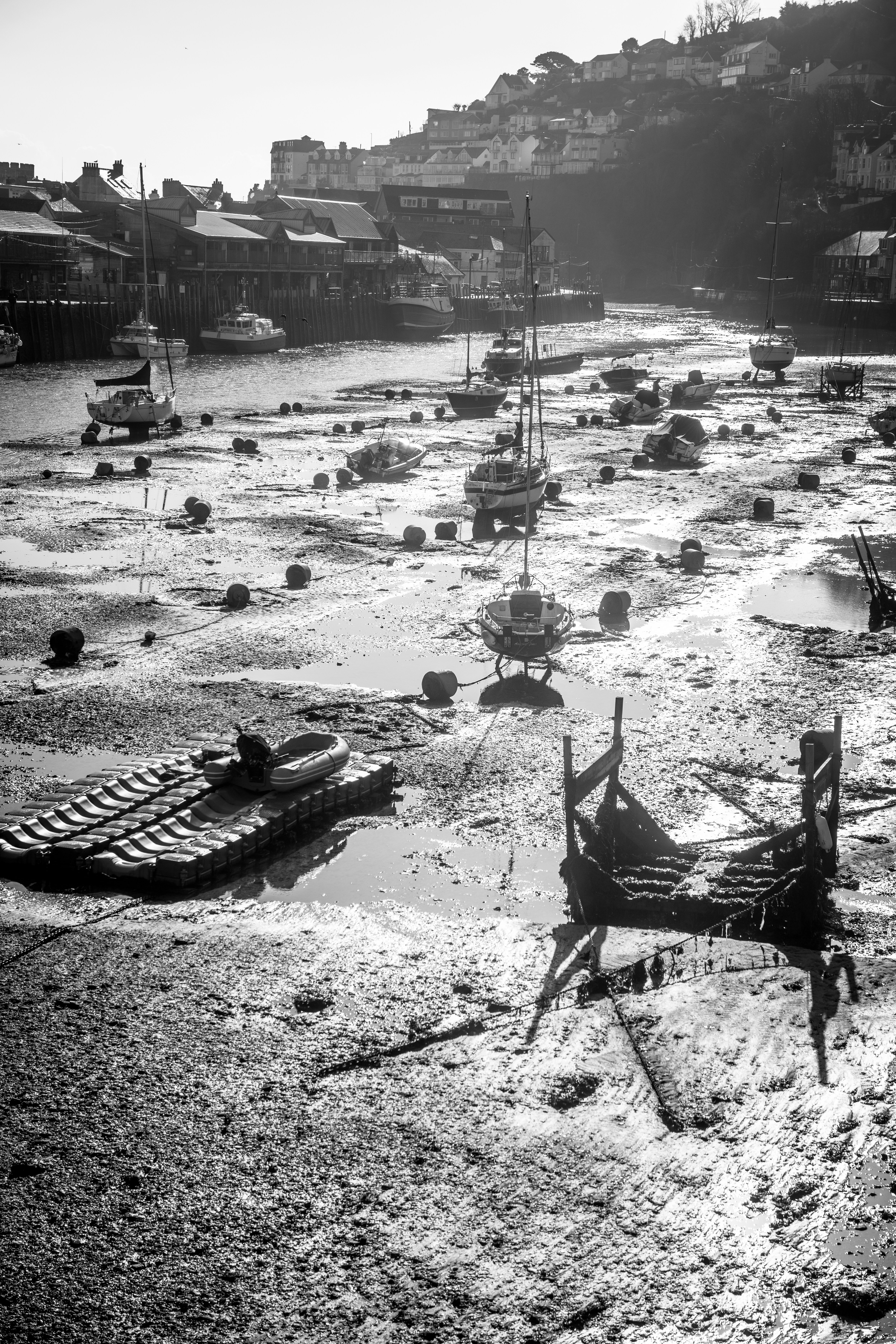 Tide-Tossed Boats and Quiet Tidepools in a Coastal Harbor