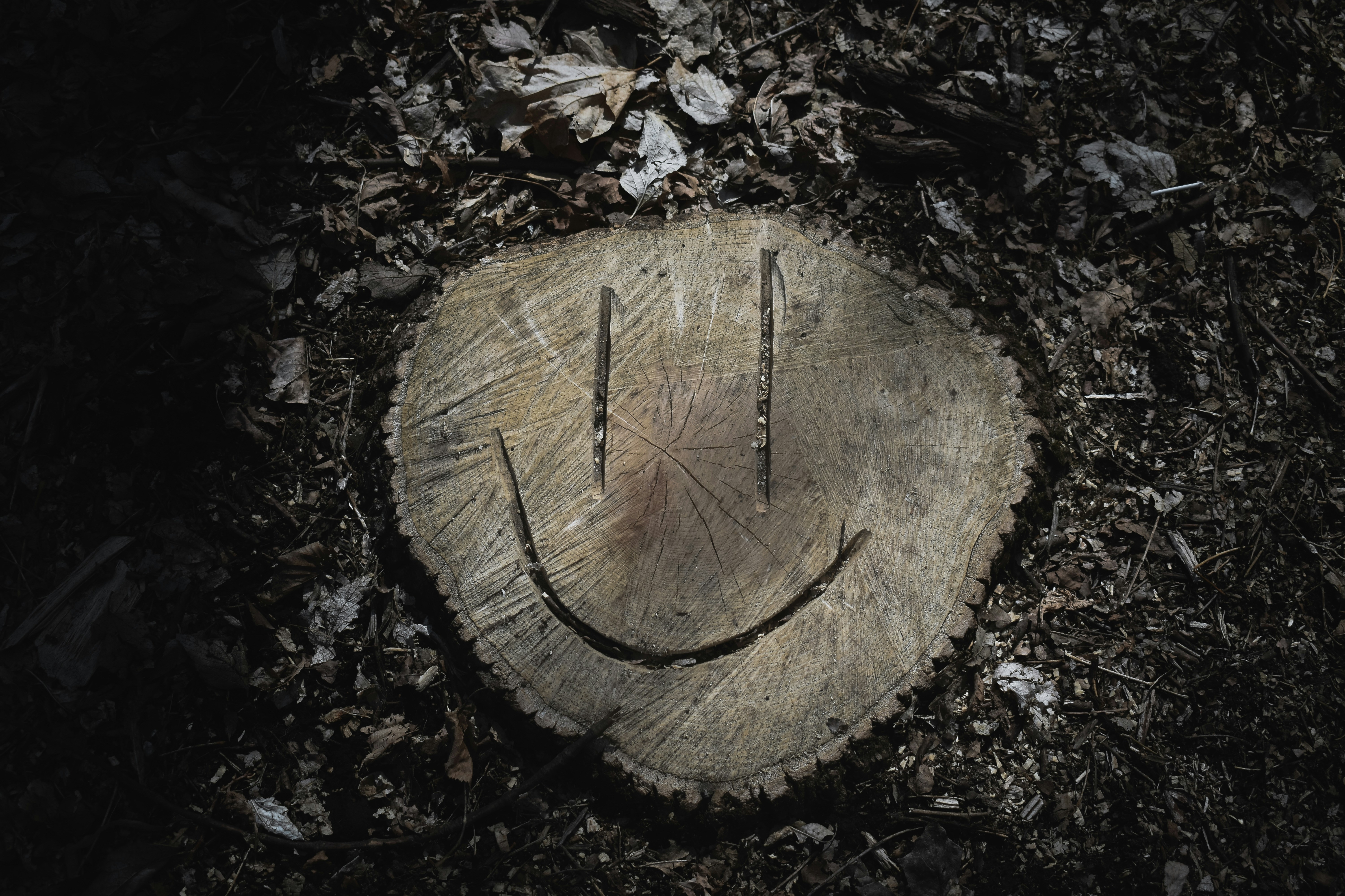 Smiling Ring: A Stump Carved with Echoes of Joy