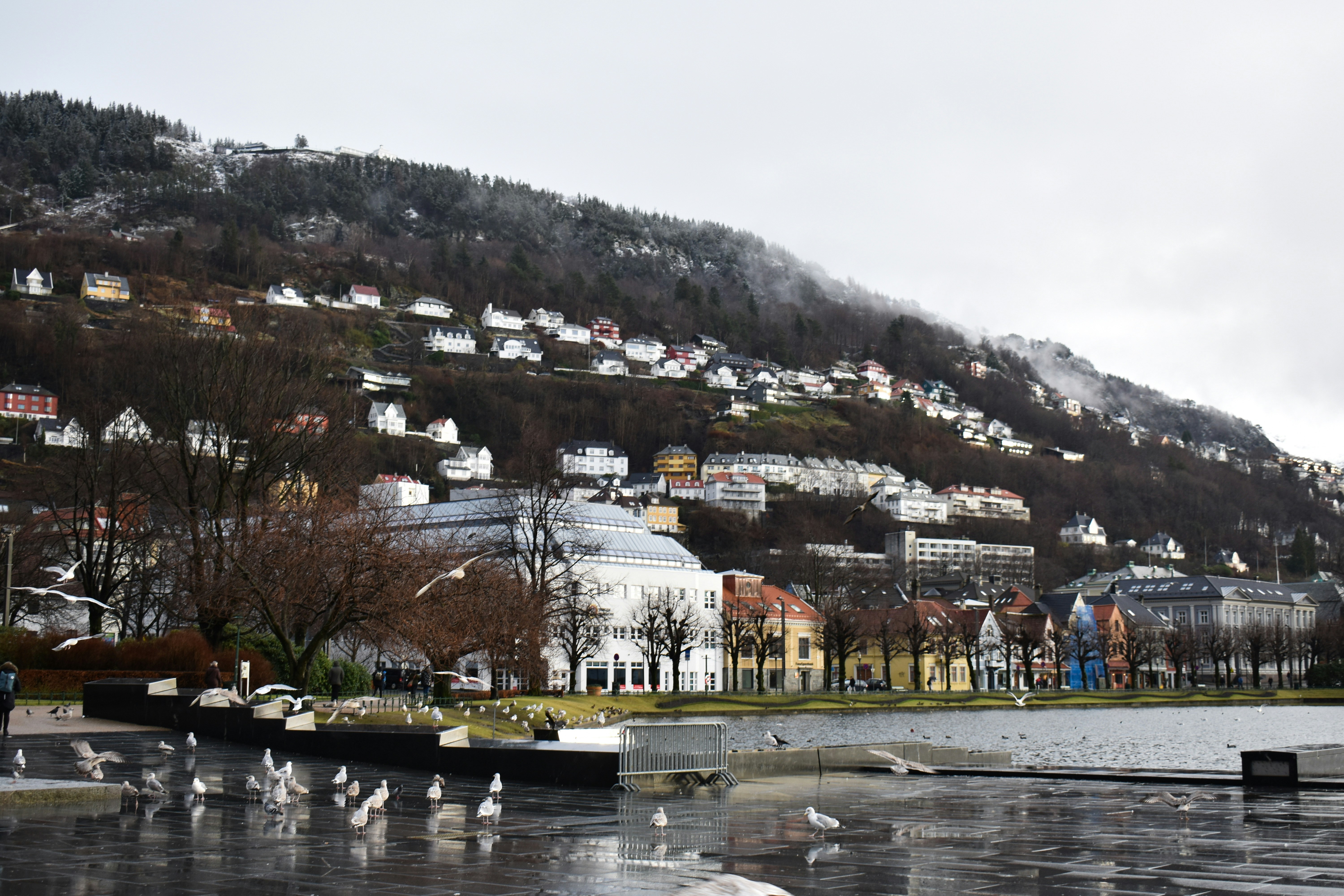 Lakeside Village with hillside terraces under mist
