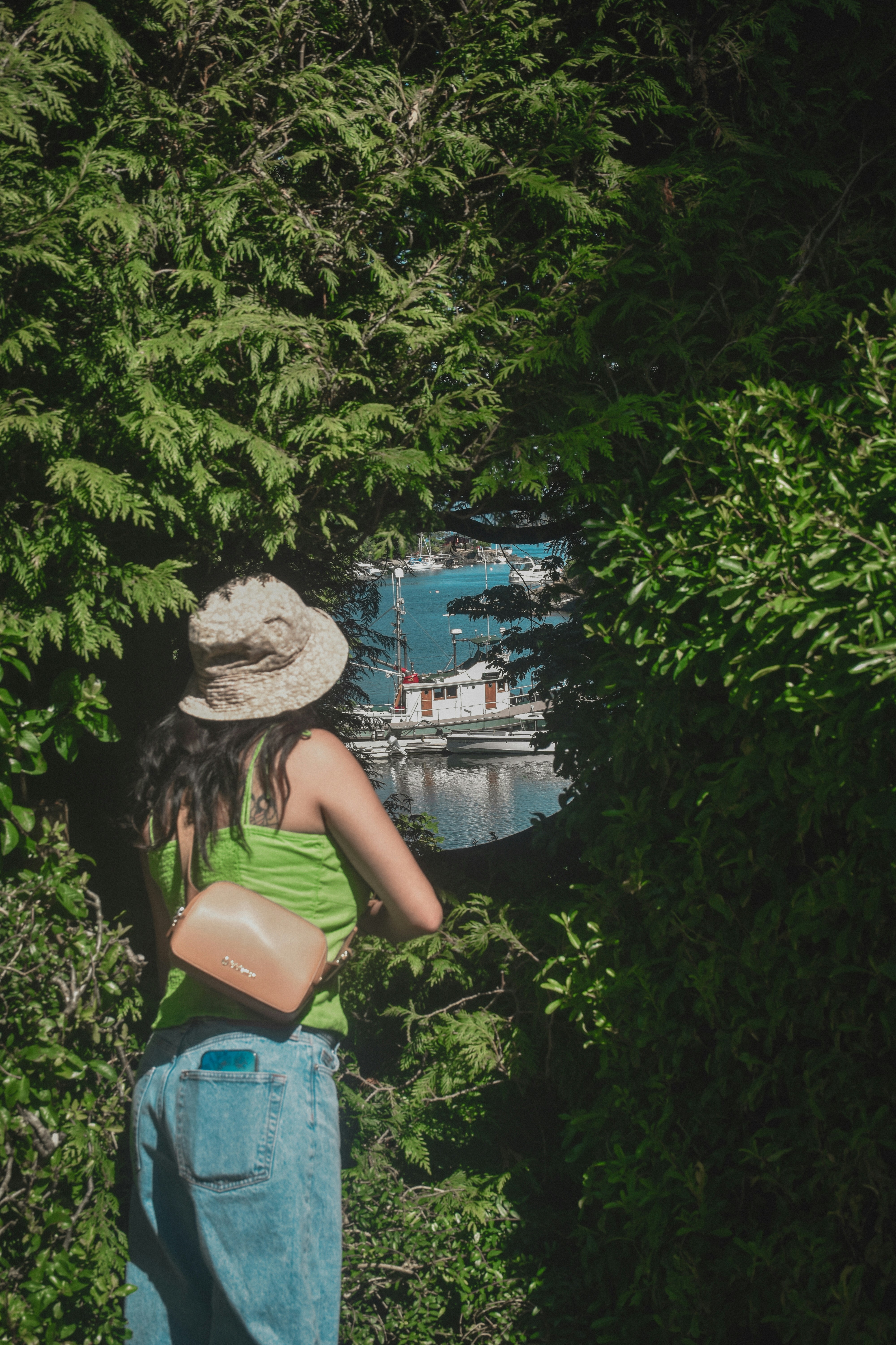 Through the Green Frame: A Sea-Cove Reveal