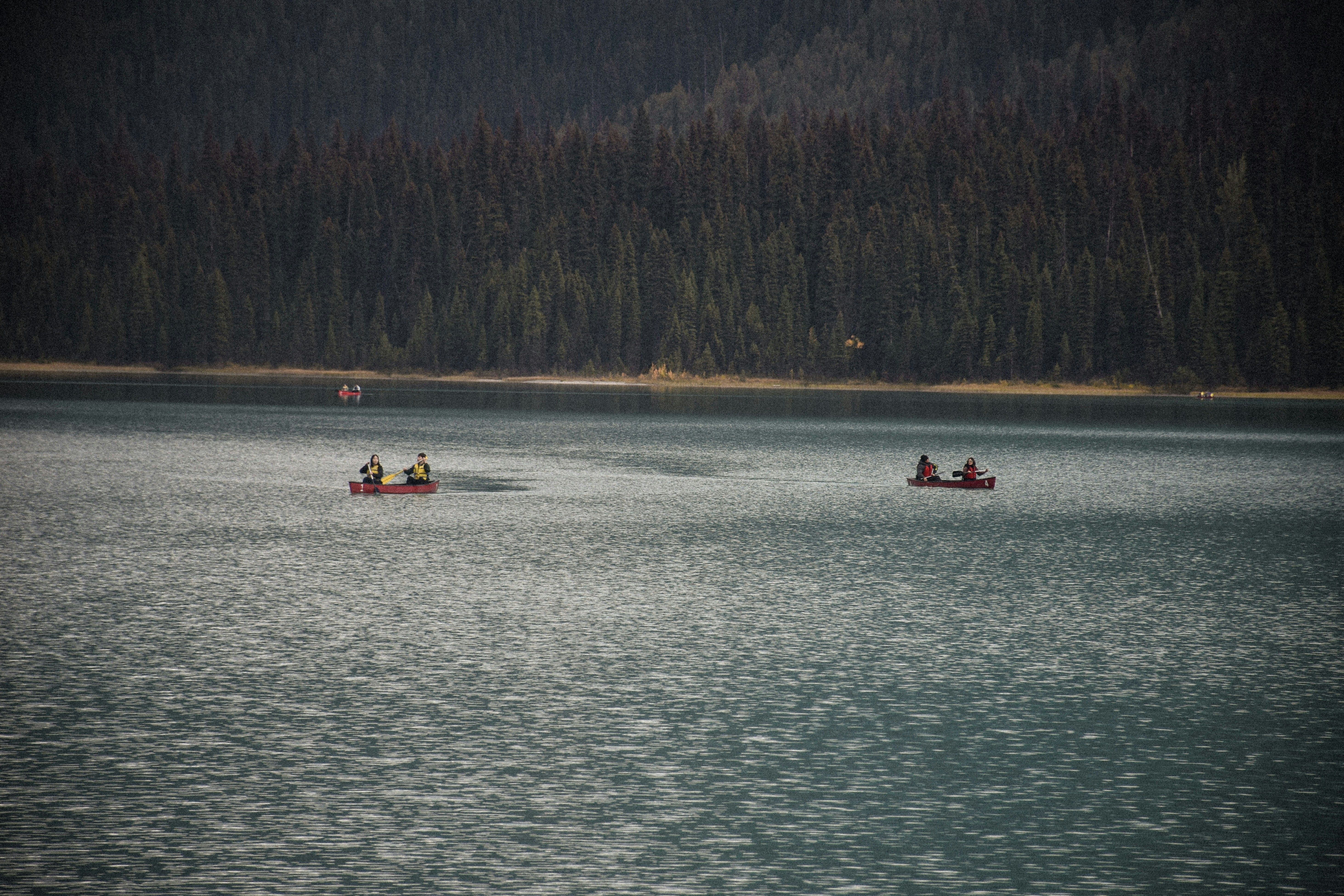 Two Red Canoes on Quiet Lake Against Pine Forest Backdrop