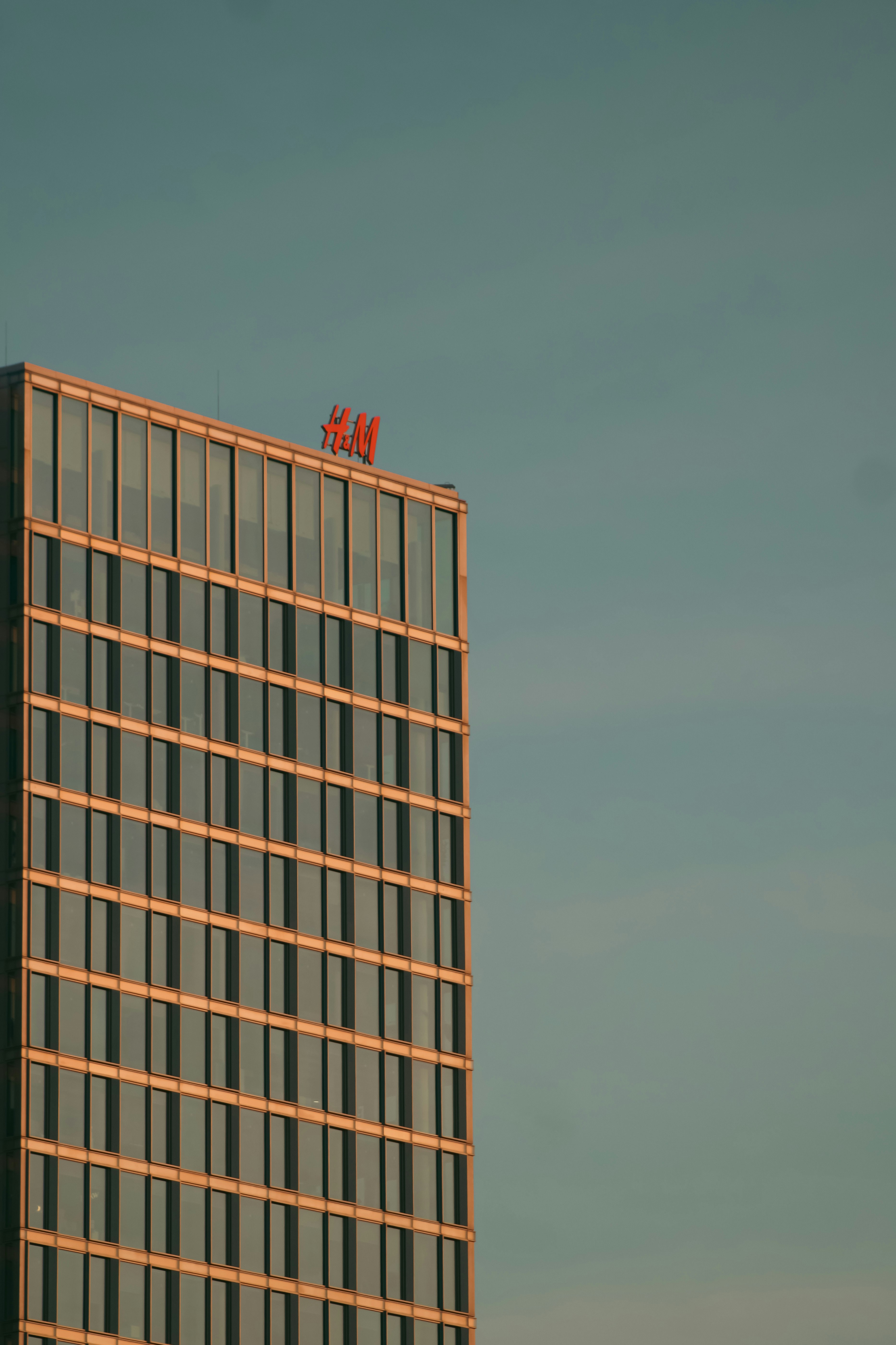 Glass Facade, Warm Sunlit Grid